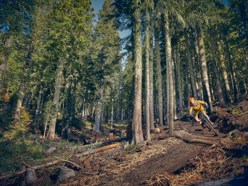 Timberline Bike Park opens - oregonlive.com