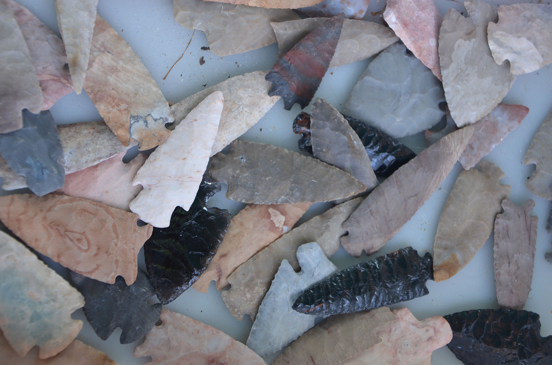 Bald Eagle Knap-In - pennlive.com