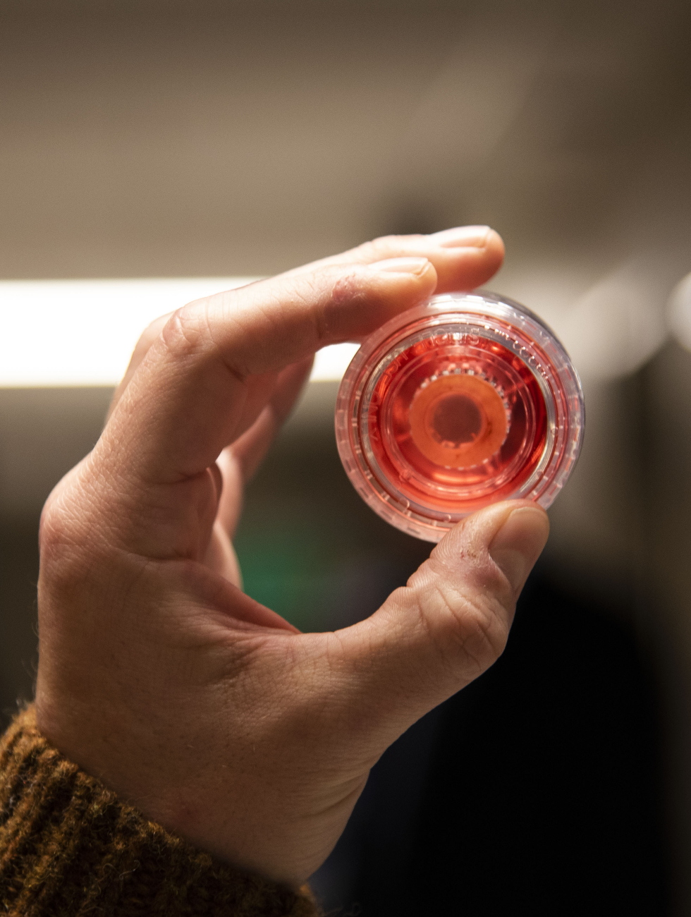 Eversight restores vision through cornea transplants - mlive.com