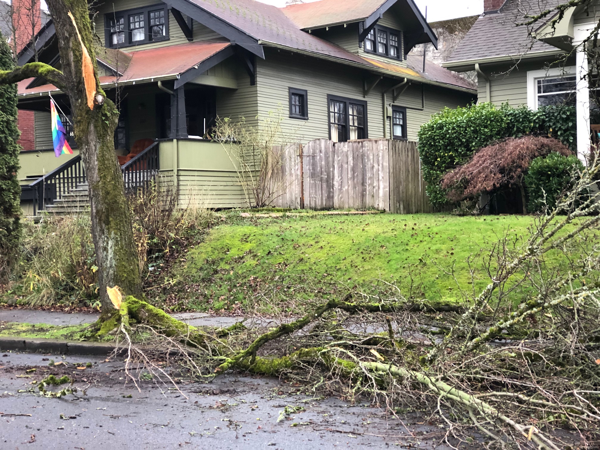 Windstorm aftermath, Portland, Jan. 6, 2019 - oregonlive.com