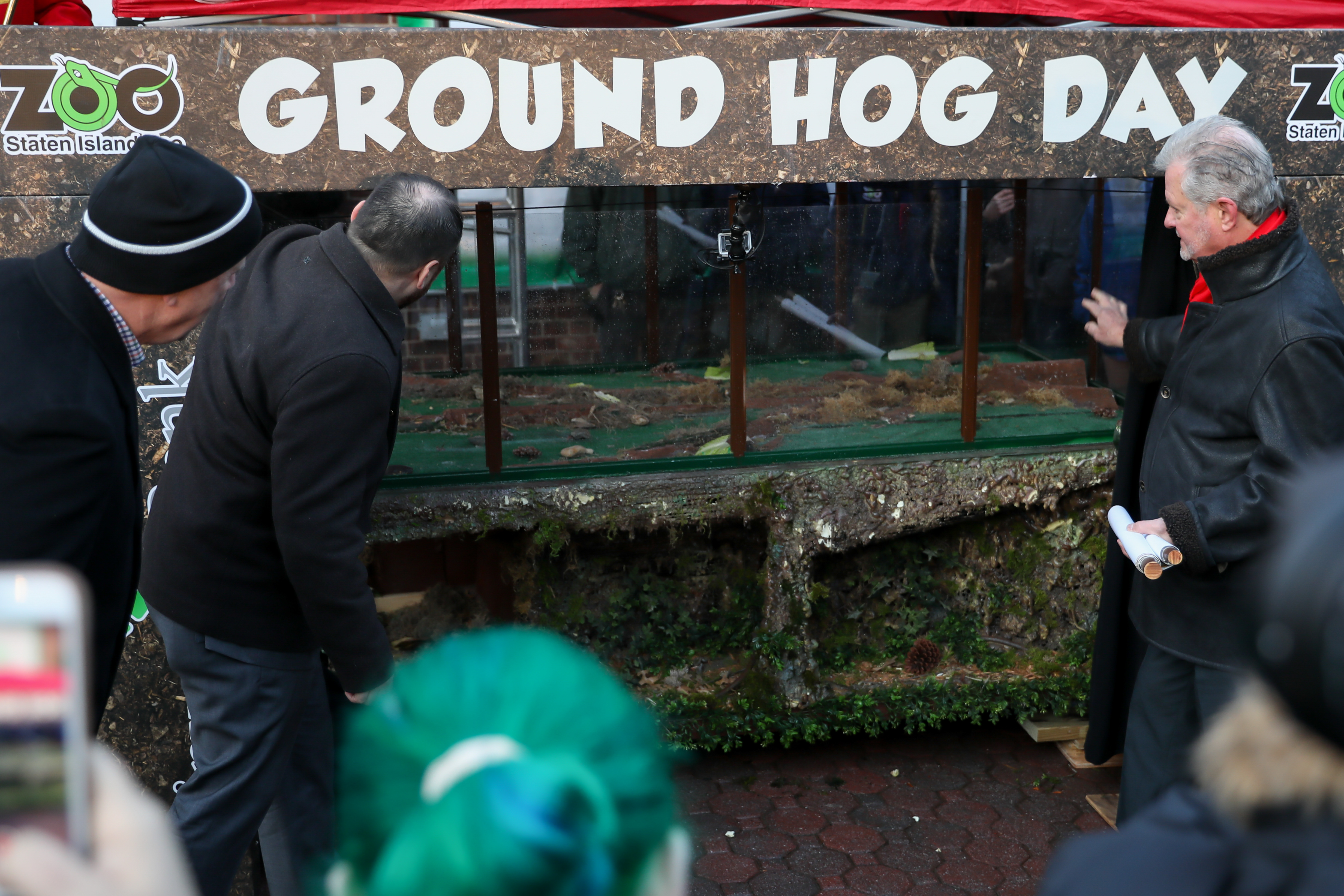 Groundhog day 2020: Staten Island Chuck makes his prediction - silive.com