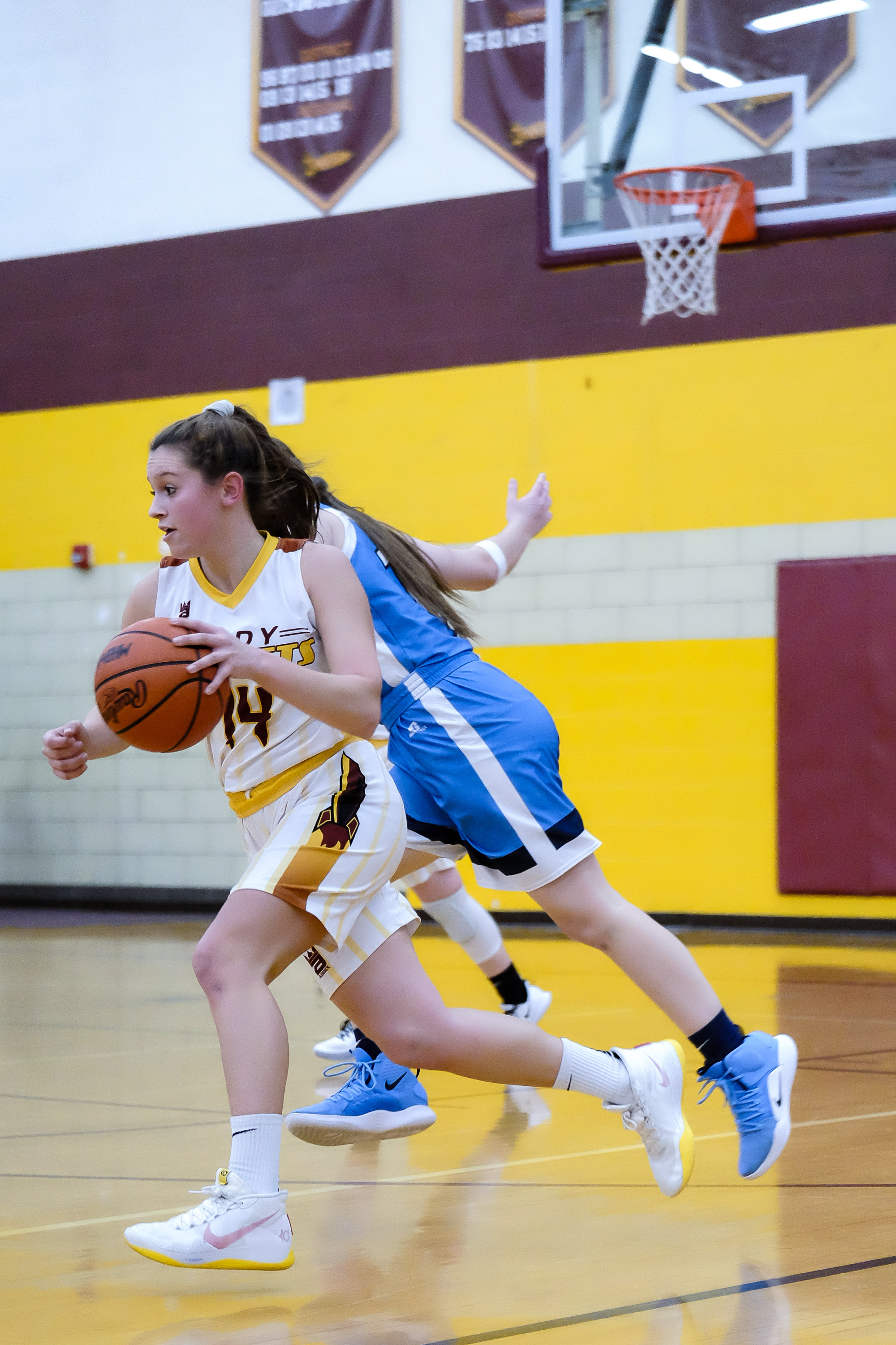 Reese girls basketball defeats Garber 59-51 - mlive.com