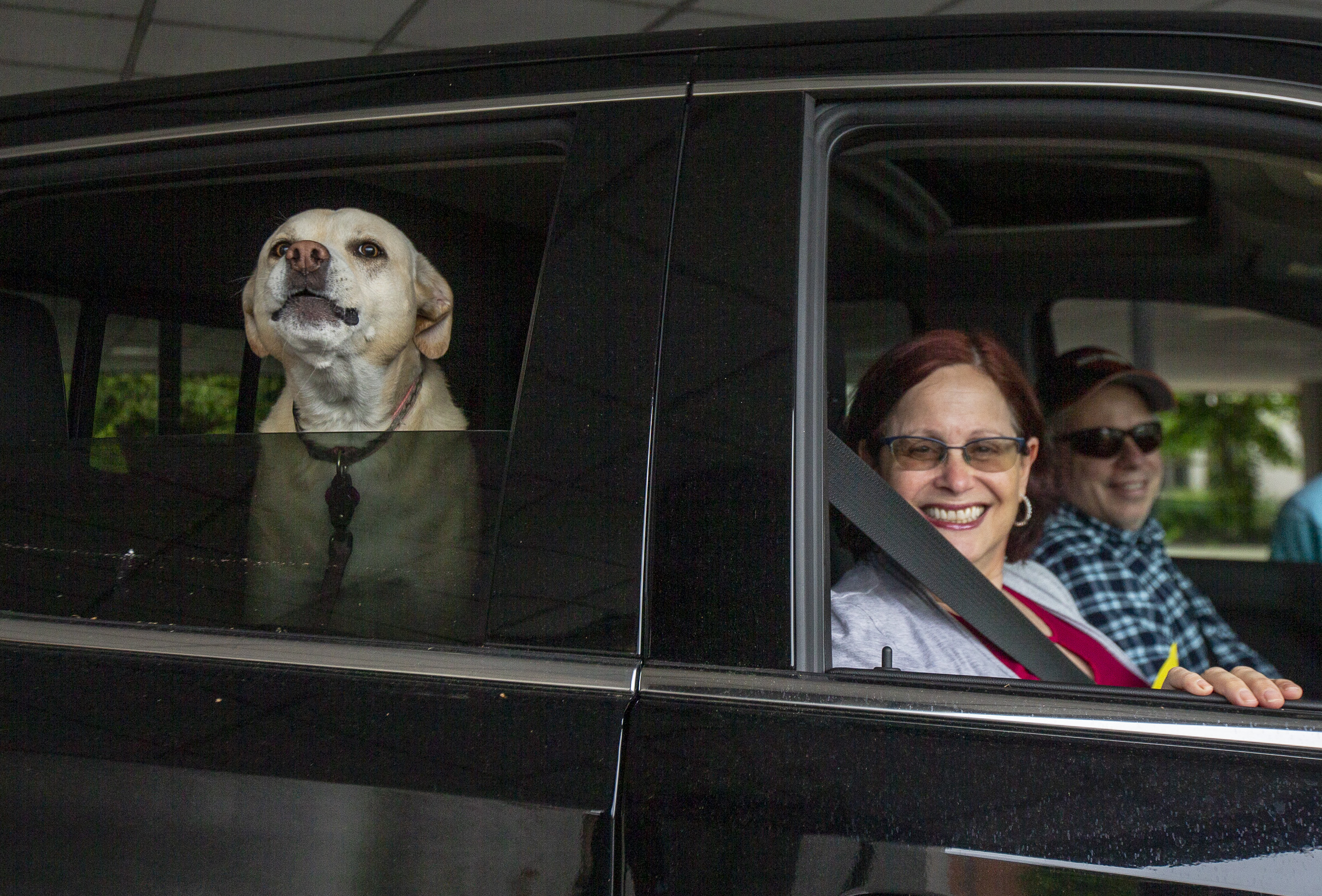 Fannie Krevsky celebrates her 104th birthday - pennlive.com