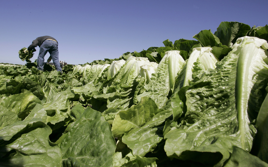 Many farmers dry their veggies in a washing machine, but is it safe?