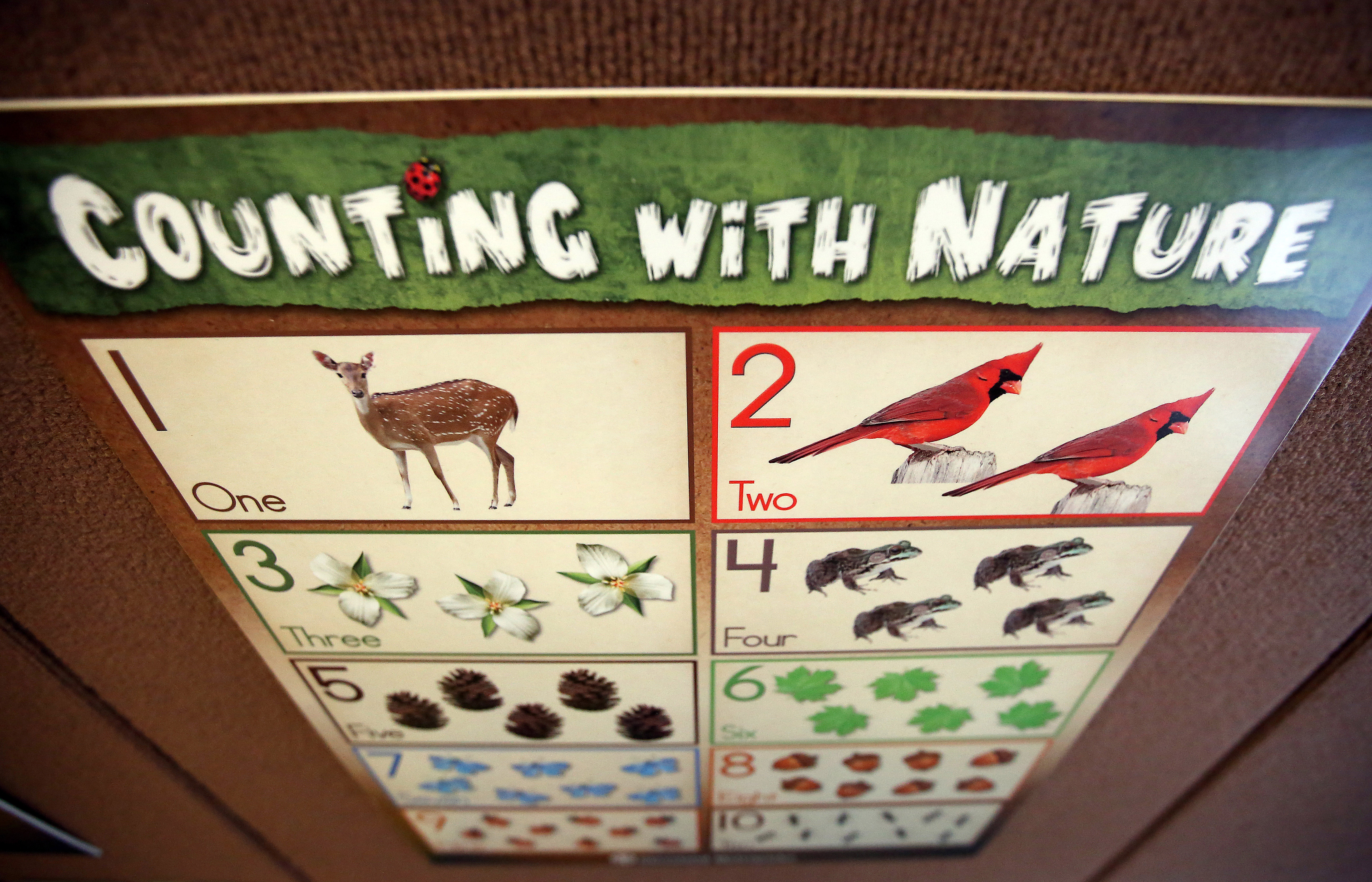 The Nature Preschool - cleveland.com