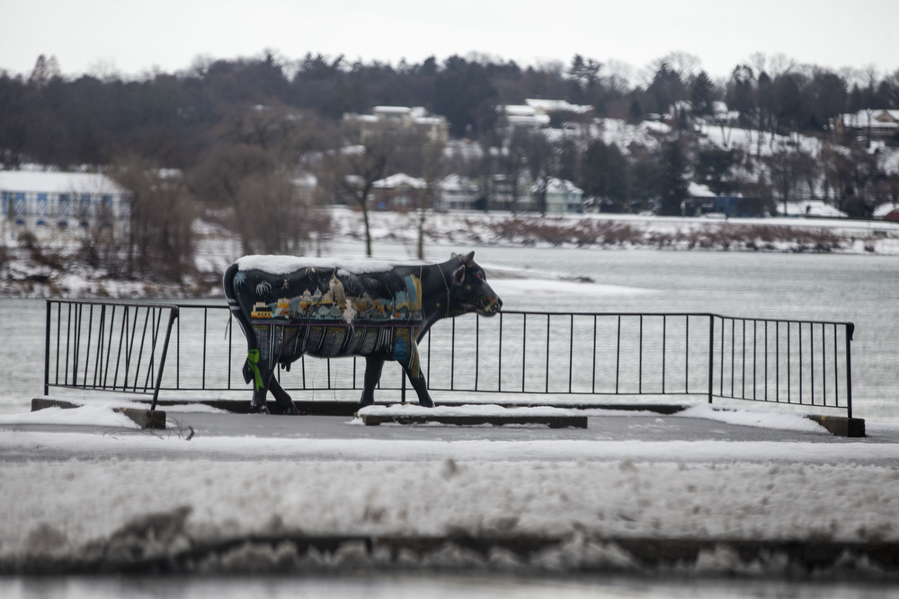 The midstate's few inches of snow turn icy Sunday - pennlive.com