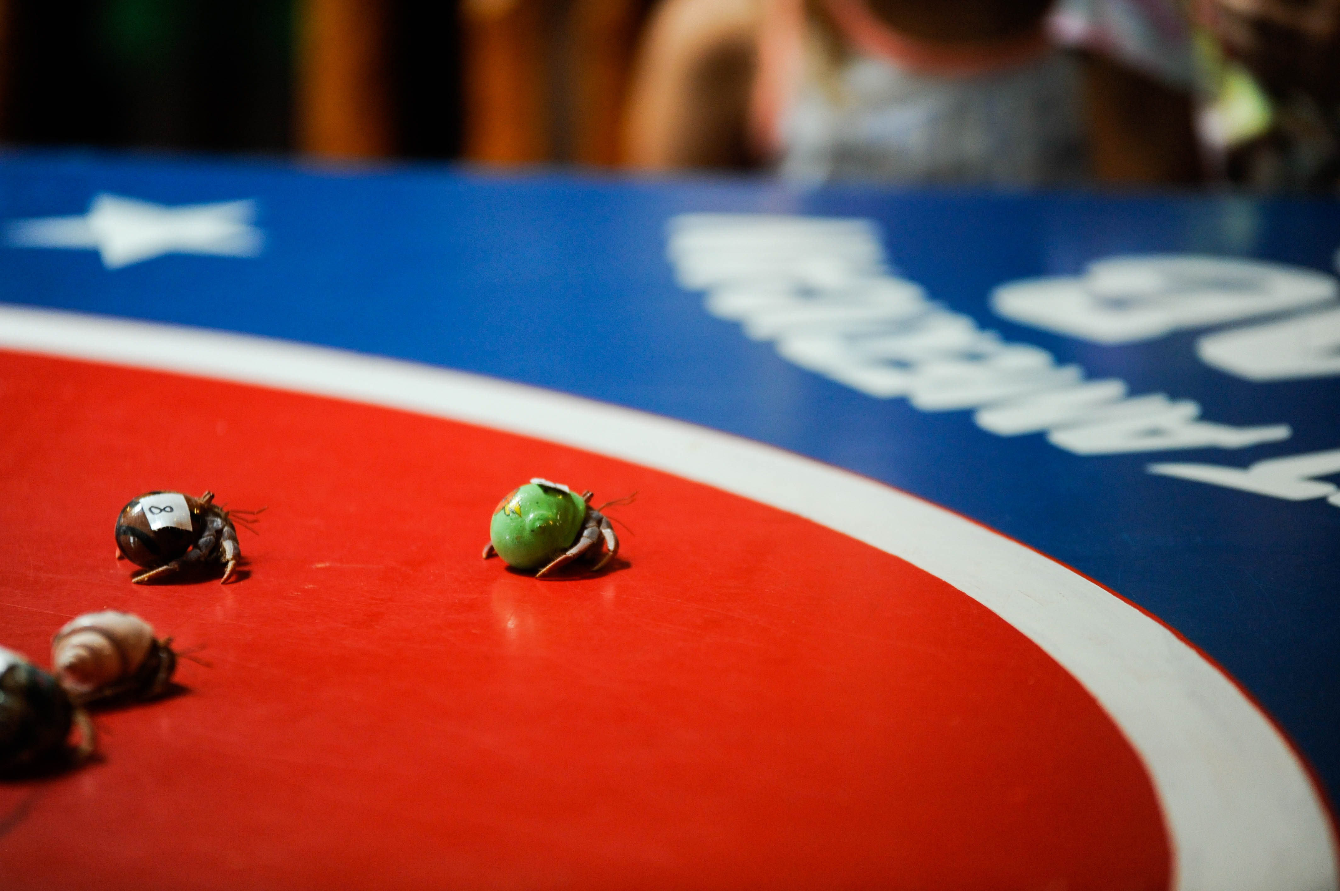 Crabs compete at the annual Great American Crab Races - mlive.com