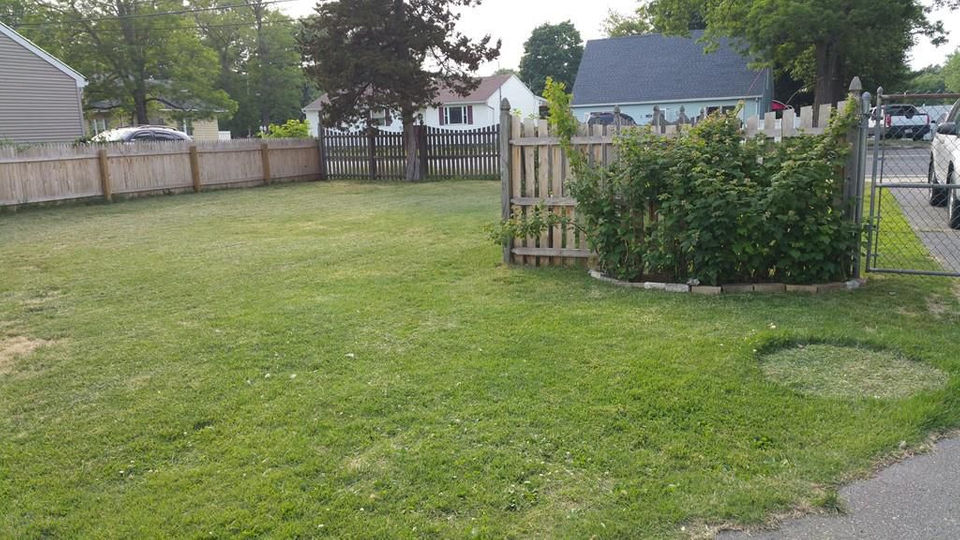 This is what the Stewart Weldon home where three bodies were found ...