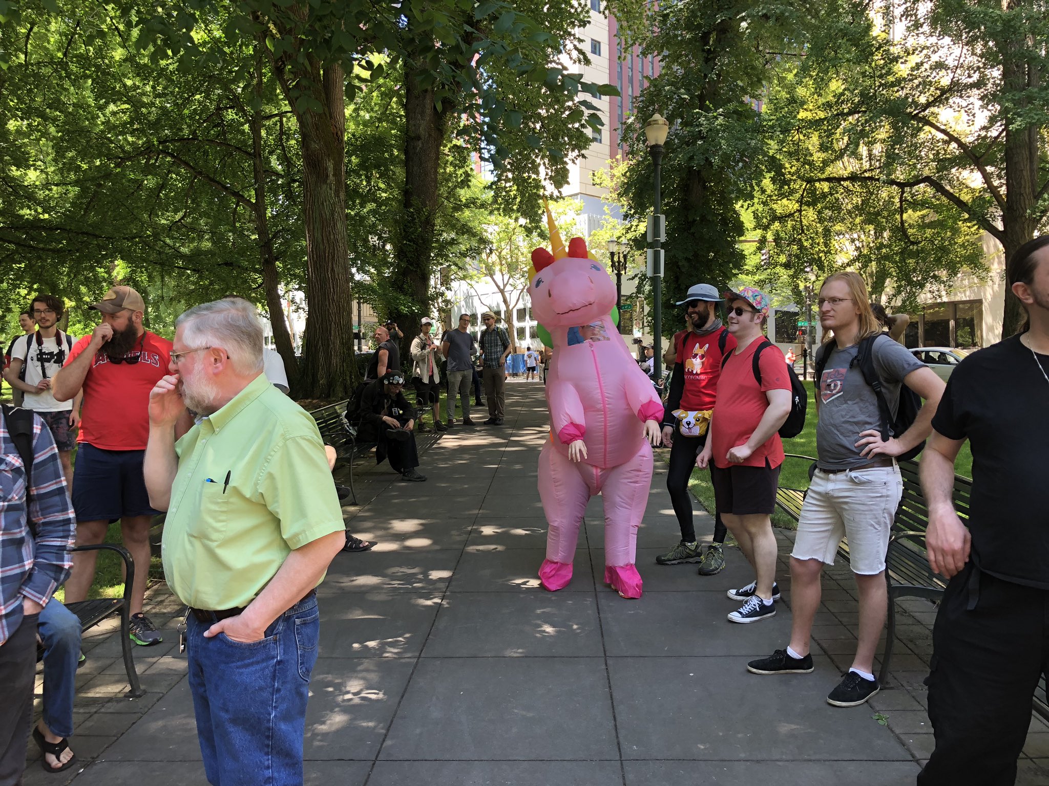 Portland protests on June 29, 2019 - oregonlive.com