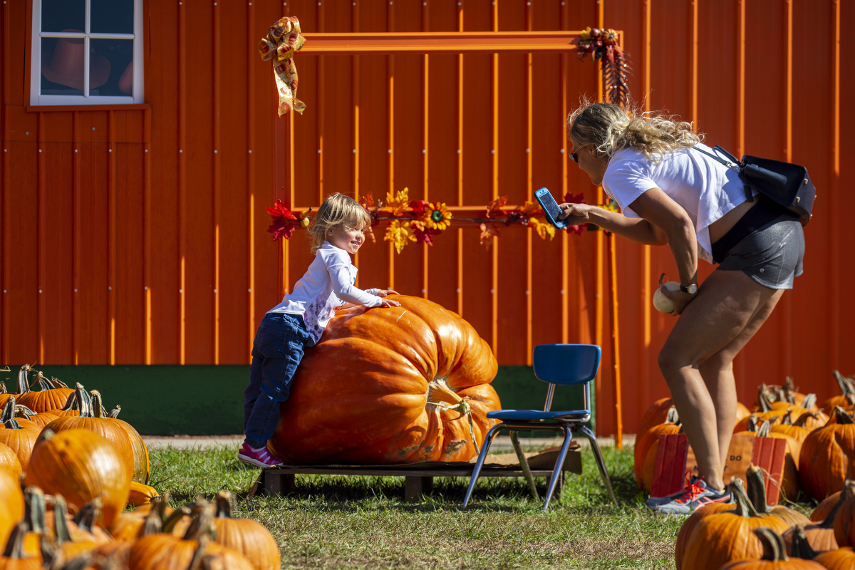 Gene The Pumpkin Man since 1957 - mlive.com