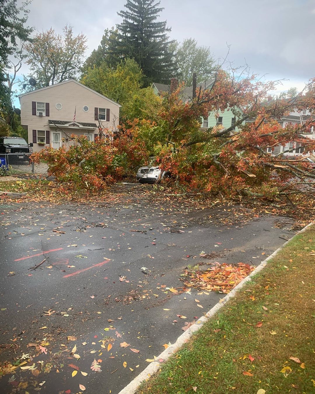 Photos show widespread storm damage across Massachusetts - masslive.com