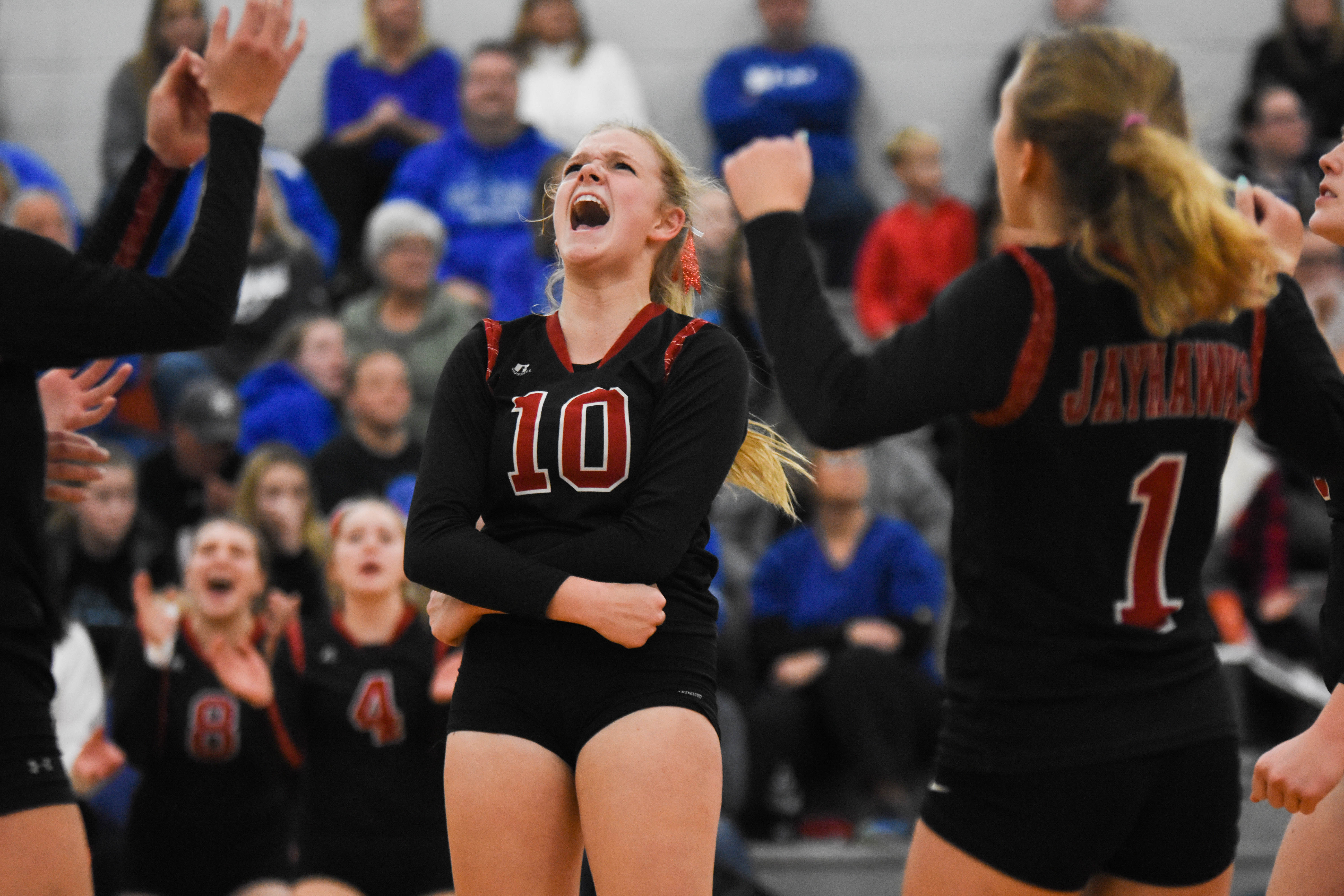 Vandercook Lake volleyball defeats Bath during Division 3 regional ...