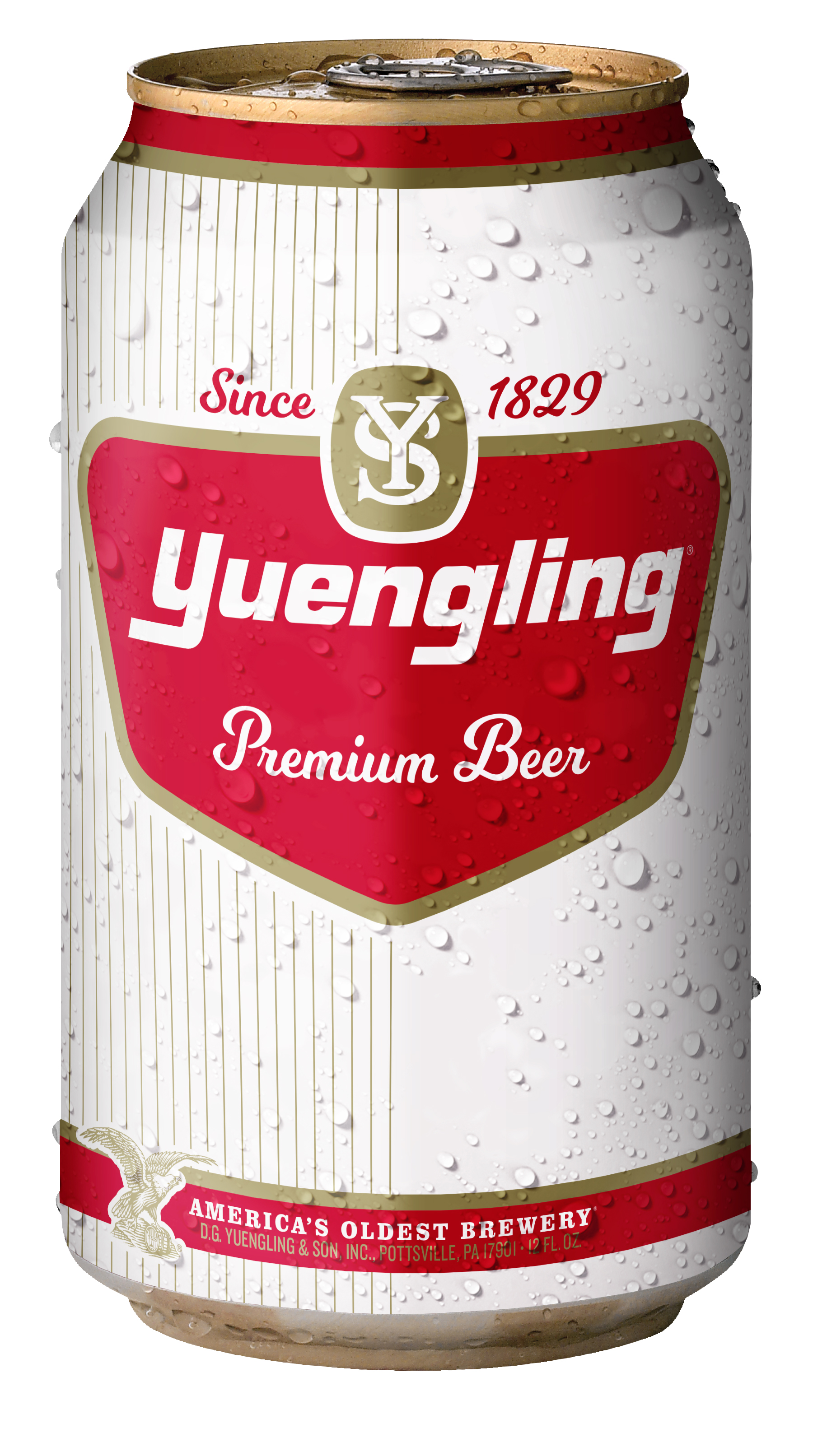 Yuengling Beer Can
