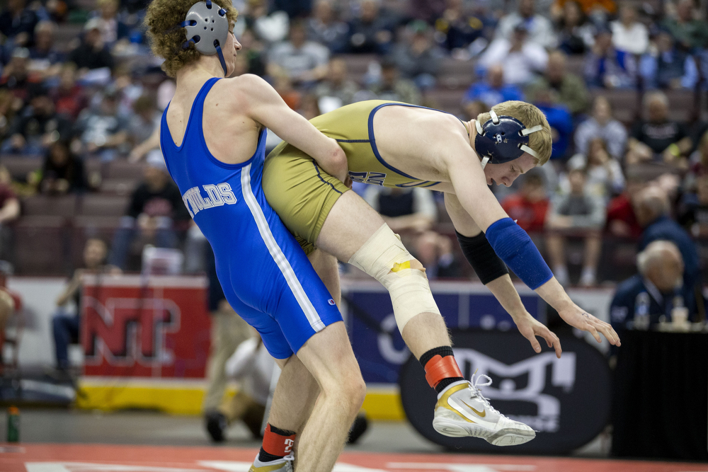 2019 PIAA Class 2A individual wrestling state championship finals ...
