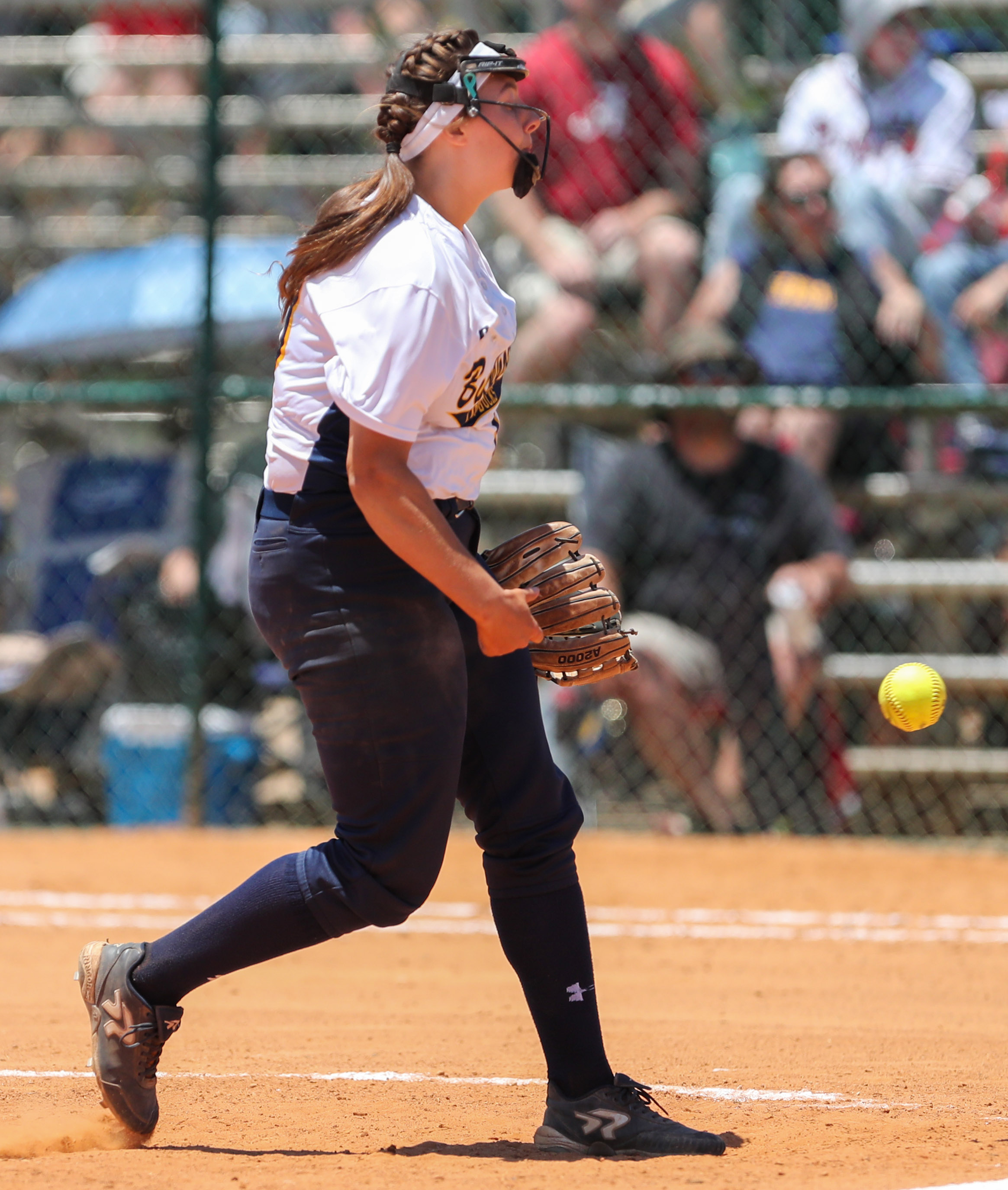2020 Huntsville Region Terrific 20 softball - al.com