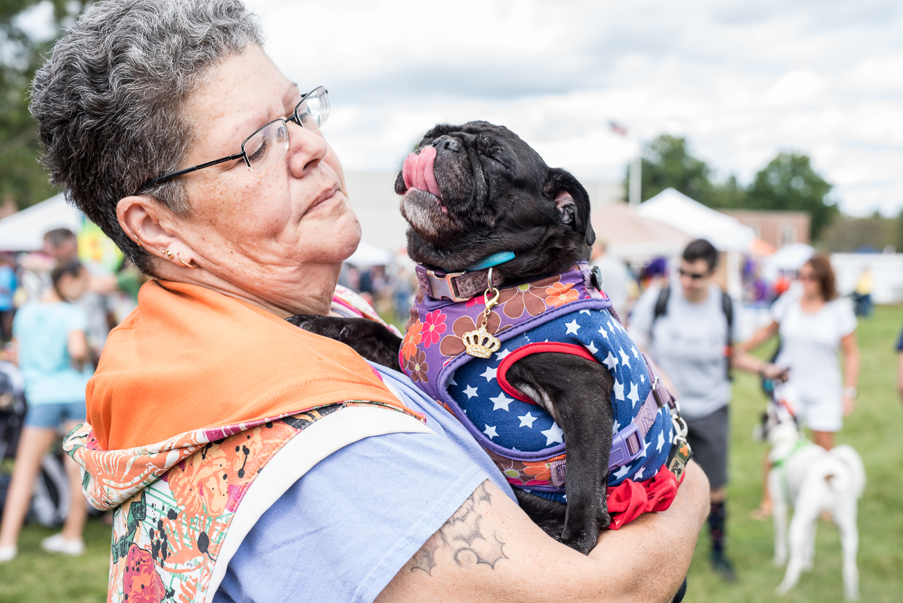 21st Annual Pet Rock Festival - masslive.com