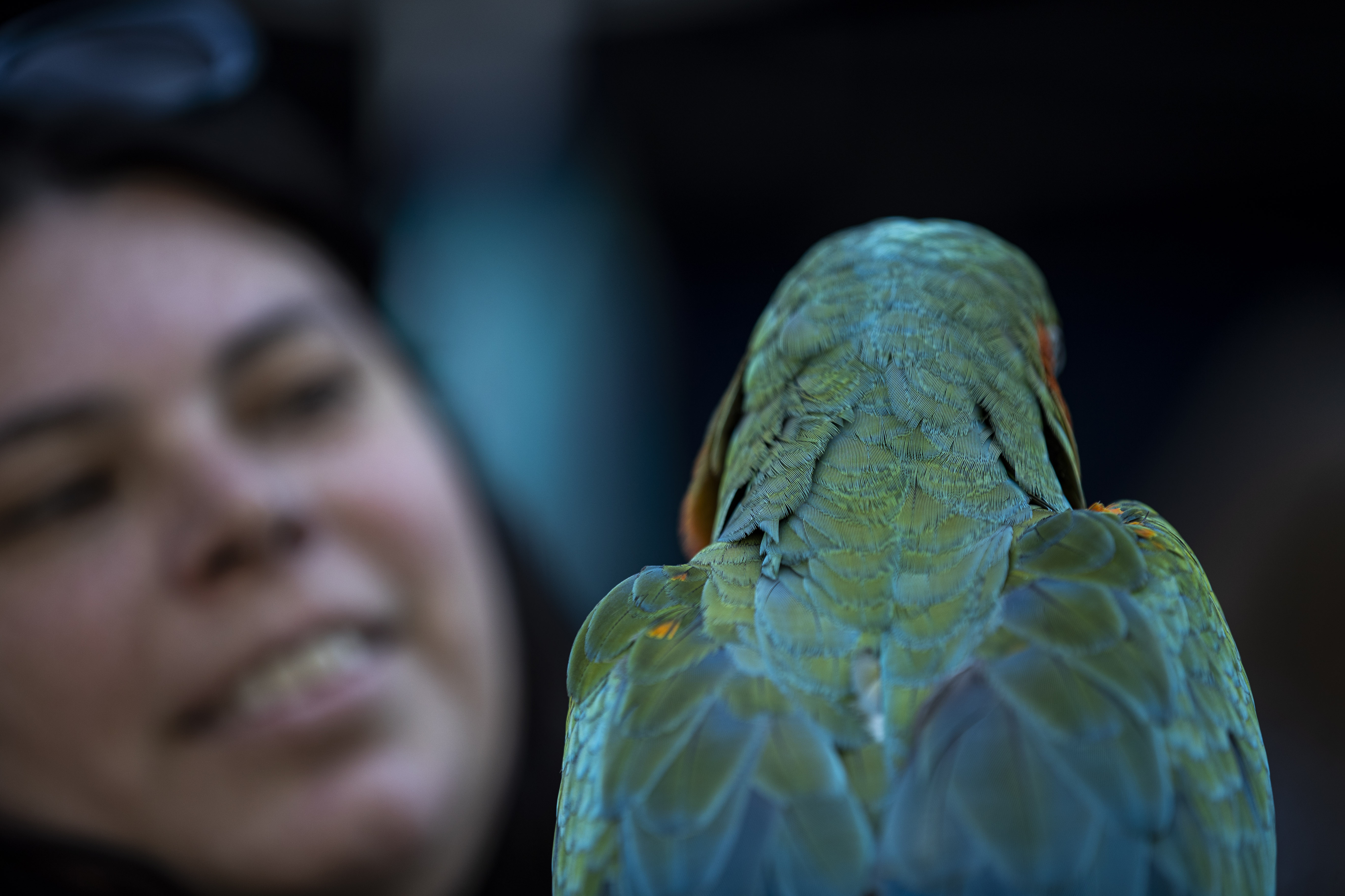 Merfest 2019 - oregonlive.com