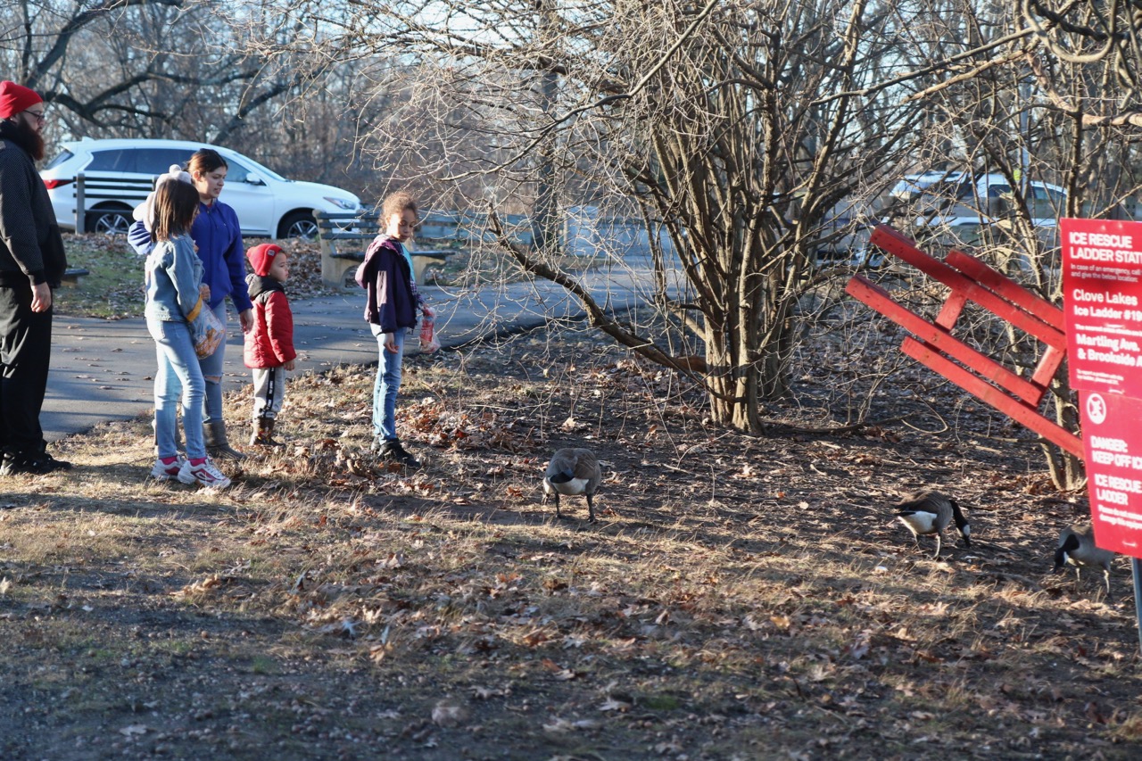 Staten Islanders visit local parks to enjoy spring-like weather ...