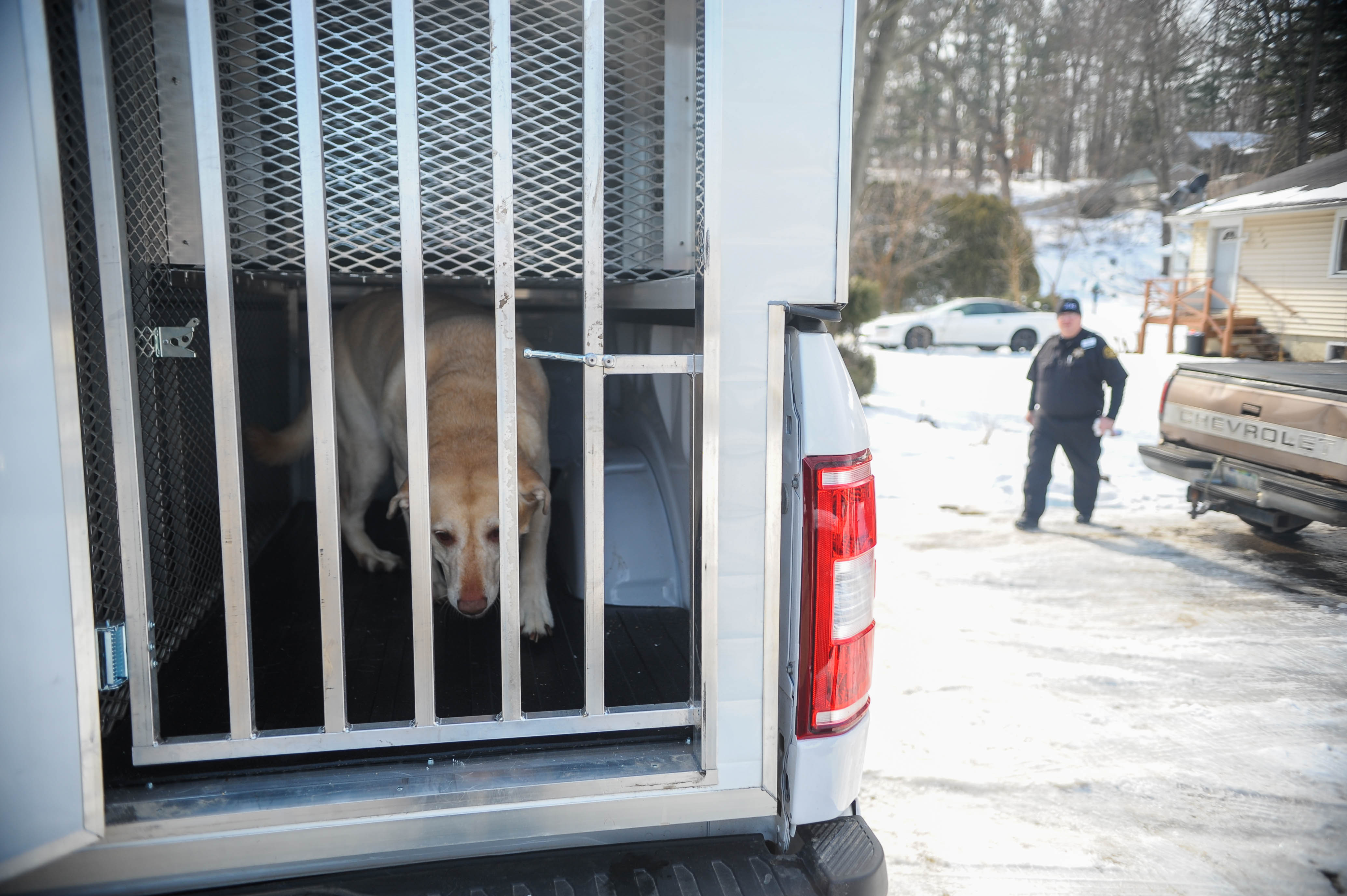 Jackson County Animal Control back after being shut down in 2014 ...