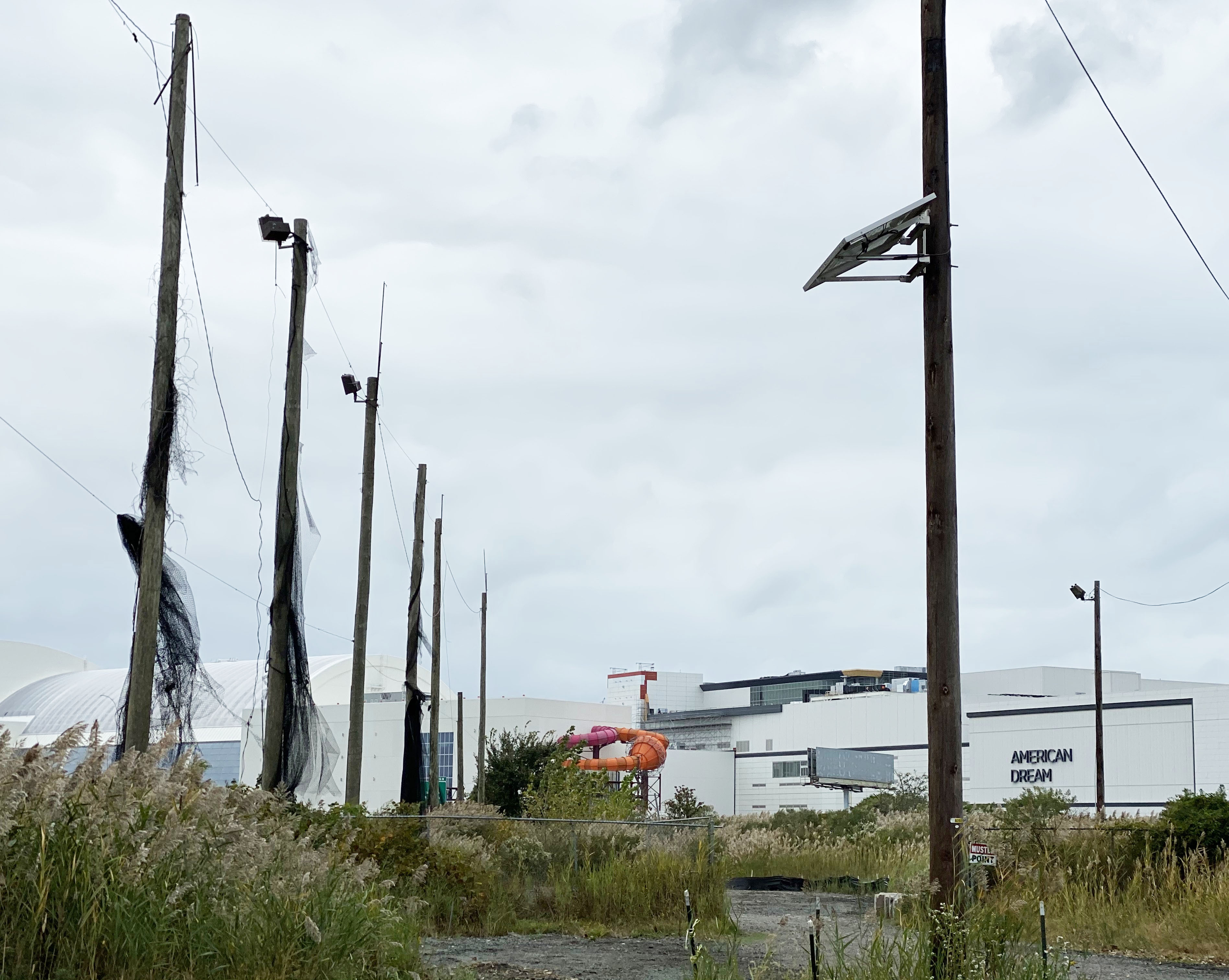 SMUSH Gallery and The Meadowlands Party's counter-space to American ...