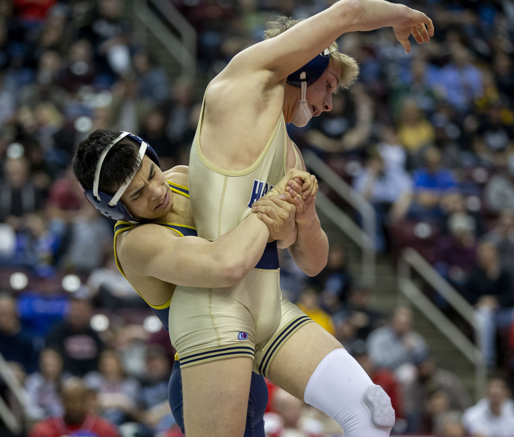 2019 PIAA Class 2A individual wrestling state championship finals ...