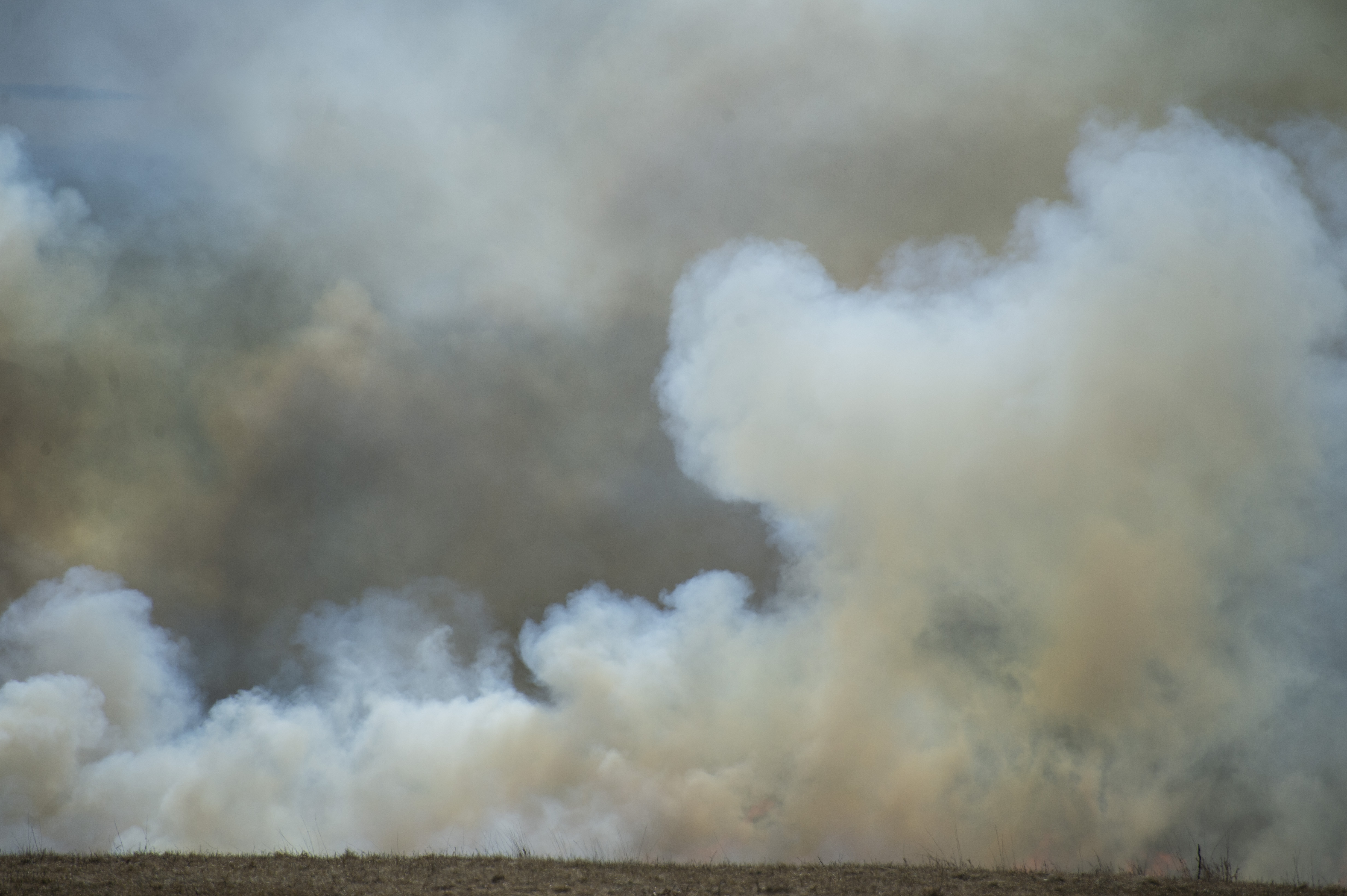 Shiawassee Refuge conducts prescribed burn to enhance wildlife habitat ...