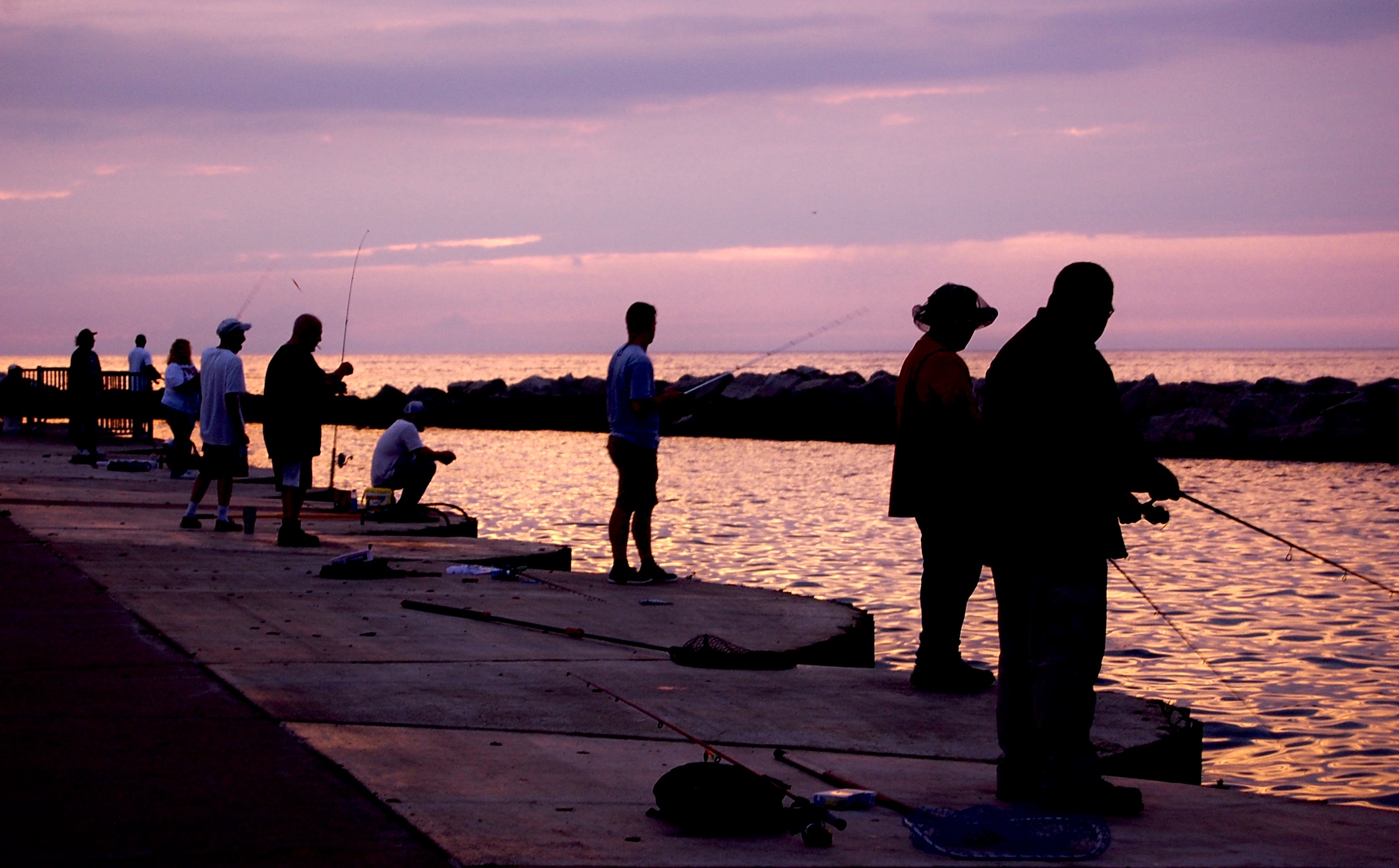 Lake Erie walleye - cleveland.com