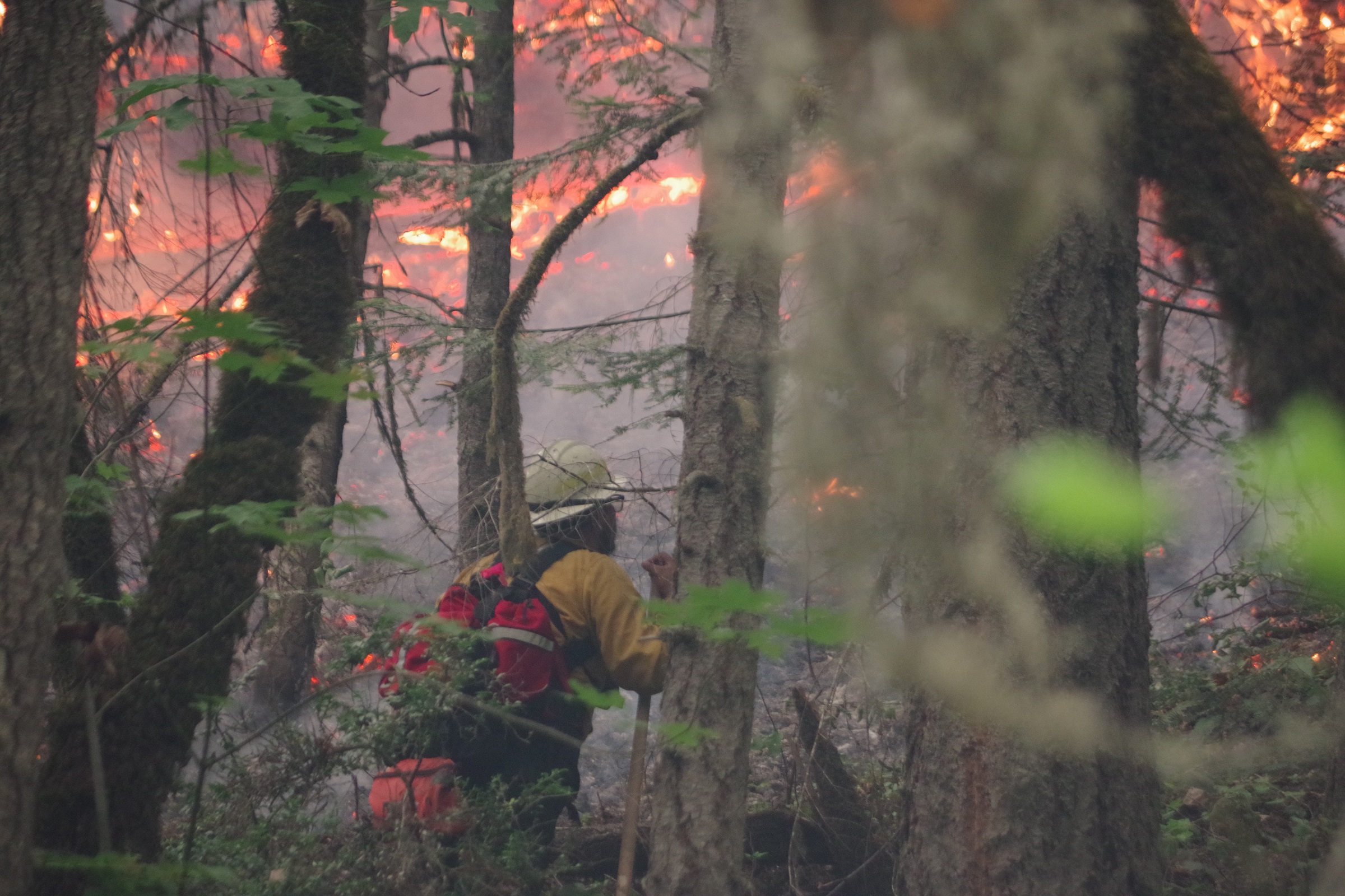 Milepost 97 fire burns in southern Oregon - oregonlive.com
