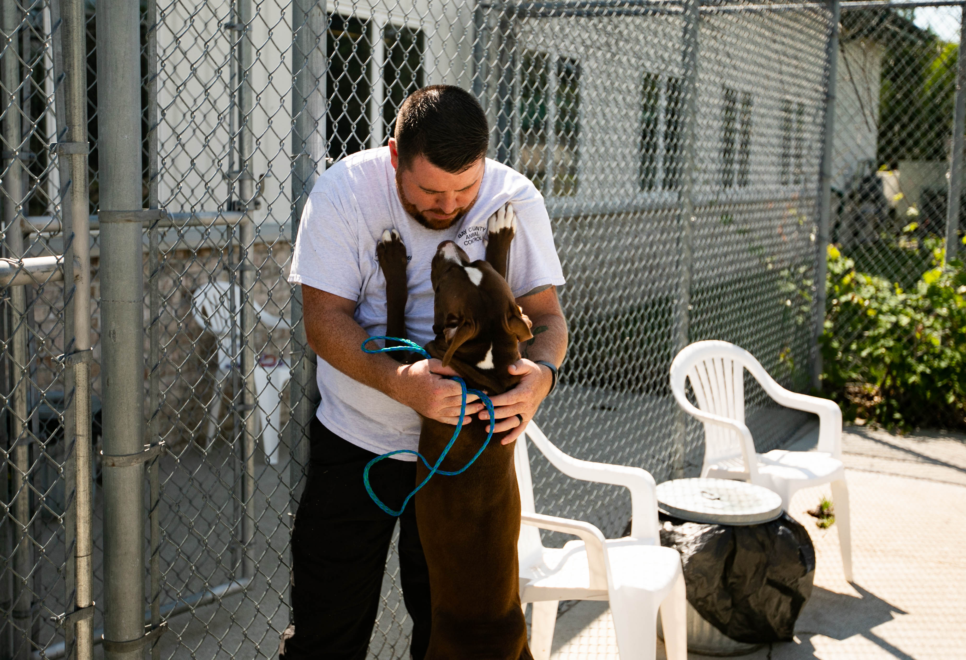 These furry friends at Bay County Animal Control need homes - mlive.com