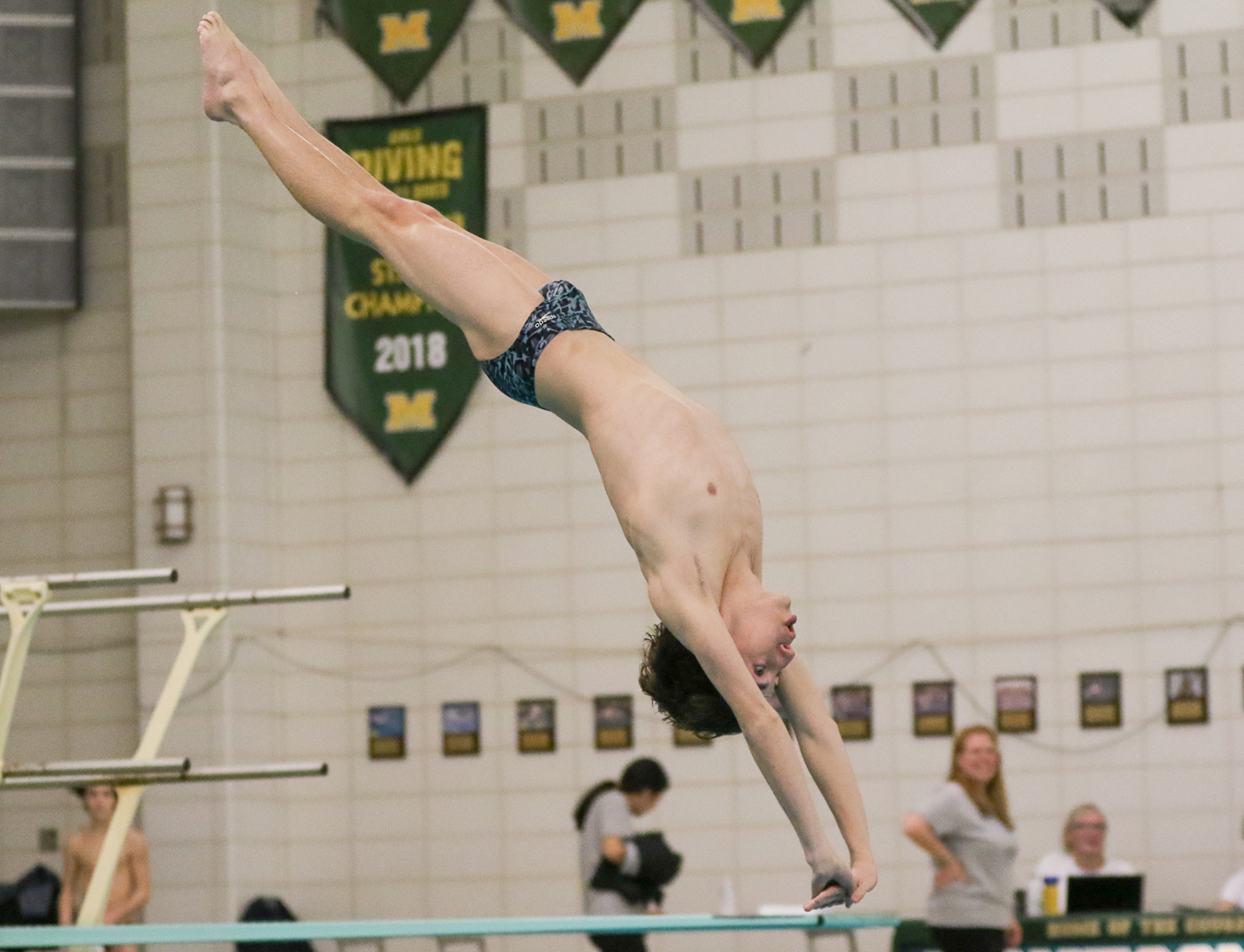 2020 NJSIAA Boys Diving Championship in Skillman on 2/26/2020 - nj.com