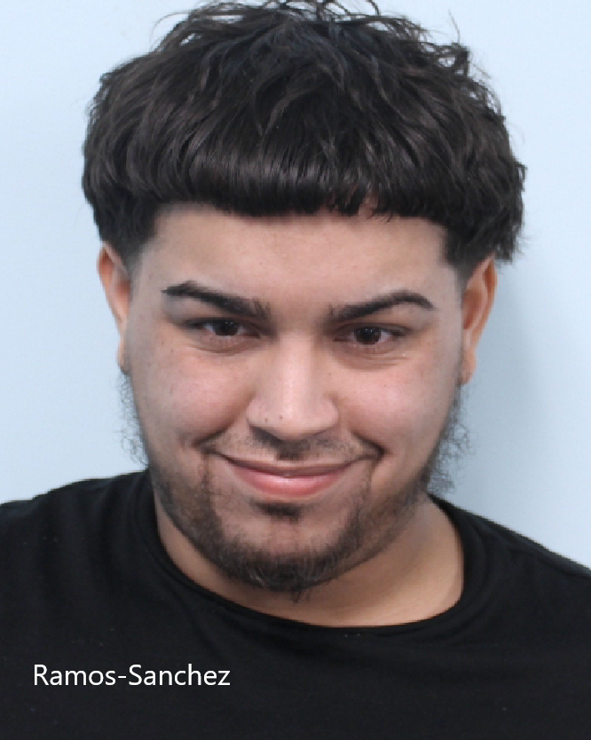 Springfield police arrest 4 on cocaine and firearm-related charges ...