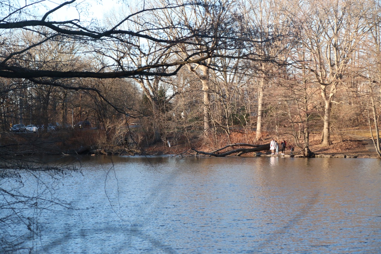 Staten Islanders visit local parks to enjoy spring-like weather ...