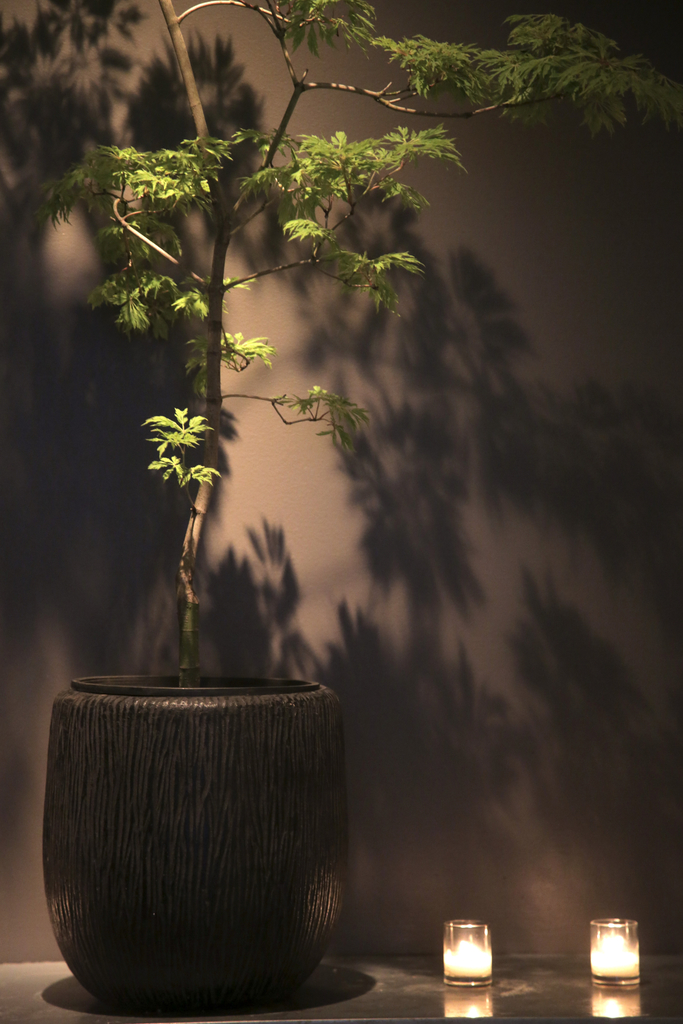 Castagna is a Michelin-star-worthy restaurant in Southeast Portland ...