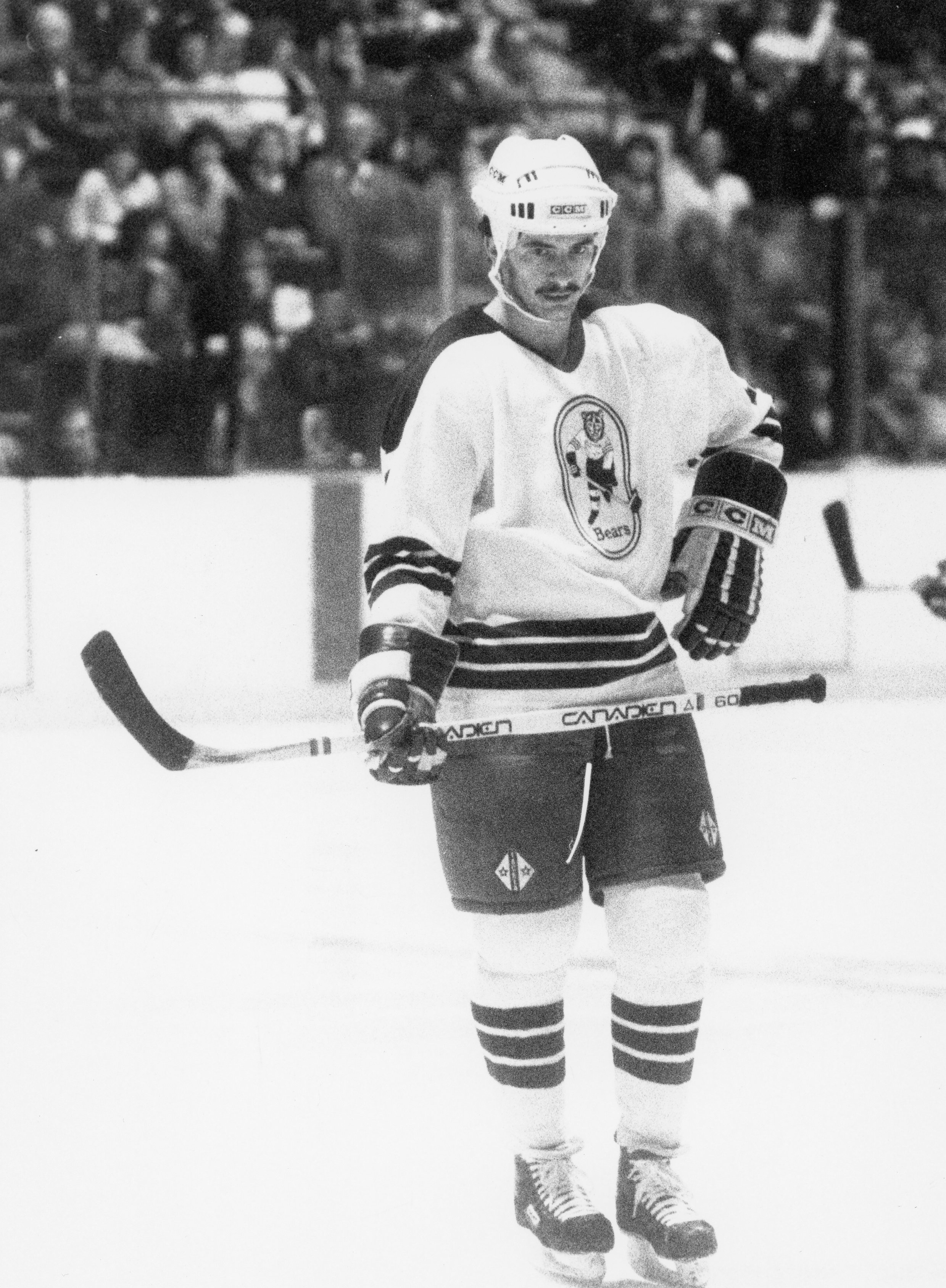 Hershey Bears featured at historical society's annual gala - pennlive.com