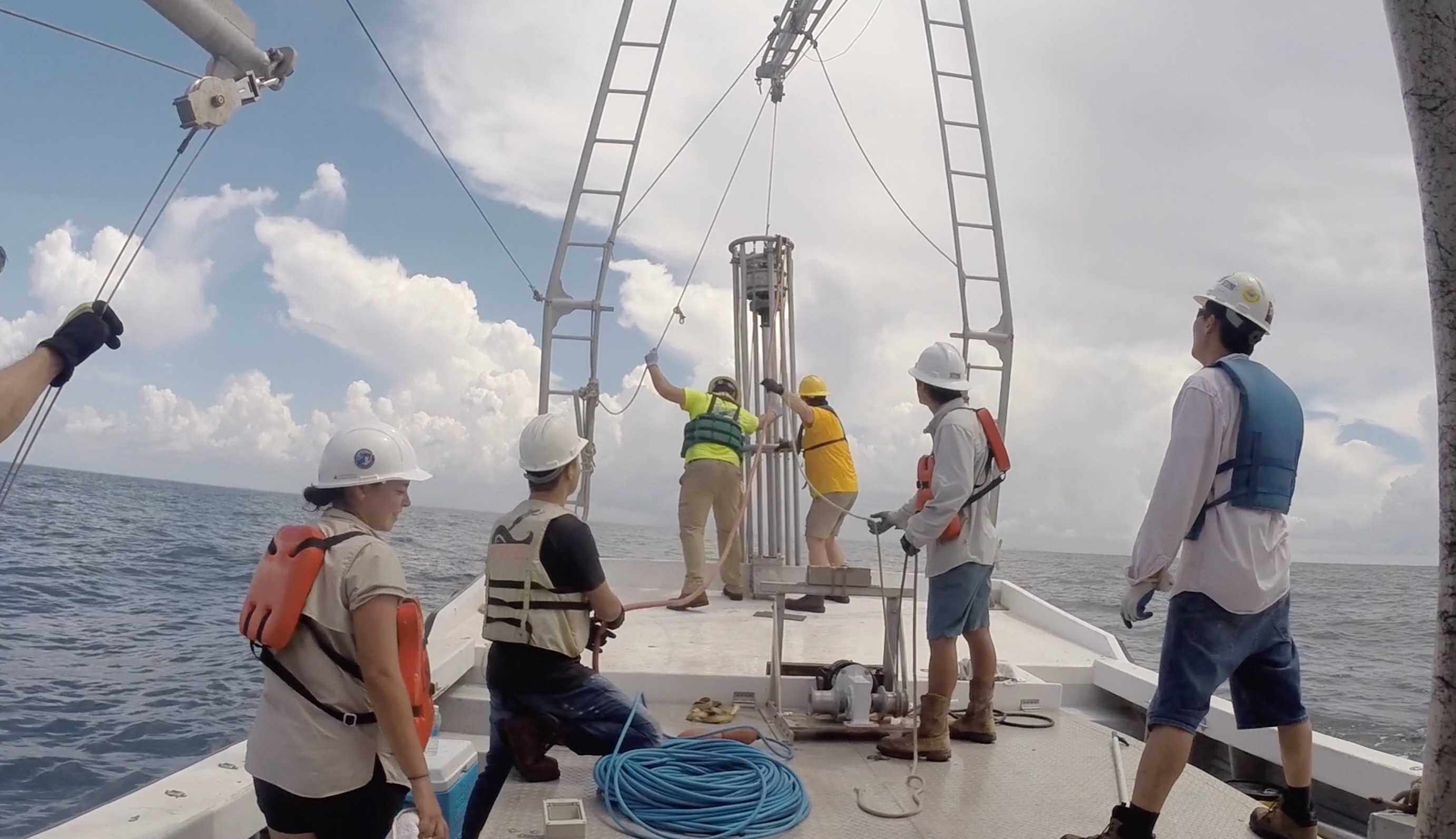 The Underwater Forest - al.com