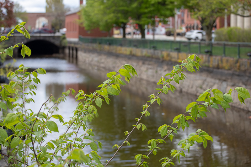 Take a photo tour of downtown Lowell - masslive.com