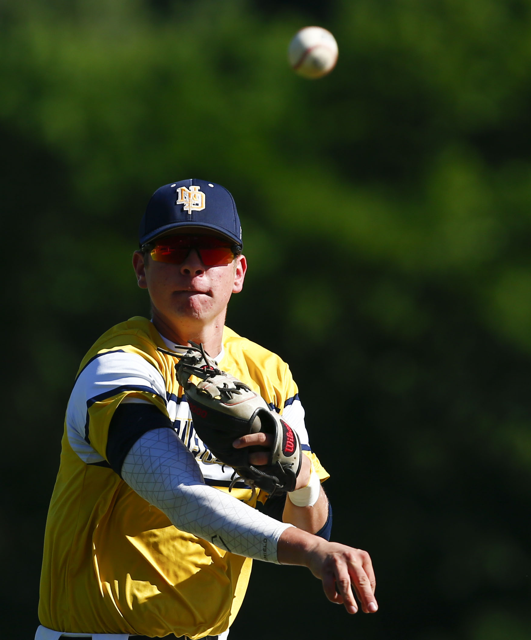 PIAA Class 3A baseball semifinals: Notre Dame vs. Lake-Lehman ...