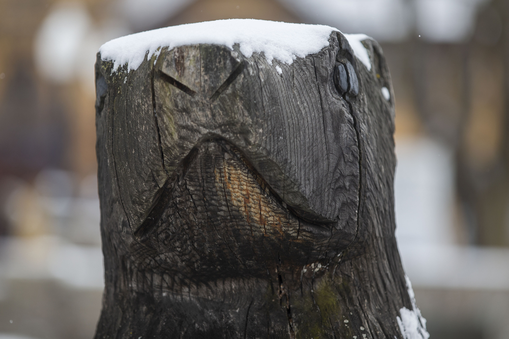 The celebrations start in Punxsutawney for 2019's Groundhog Day ...