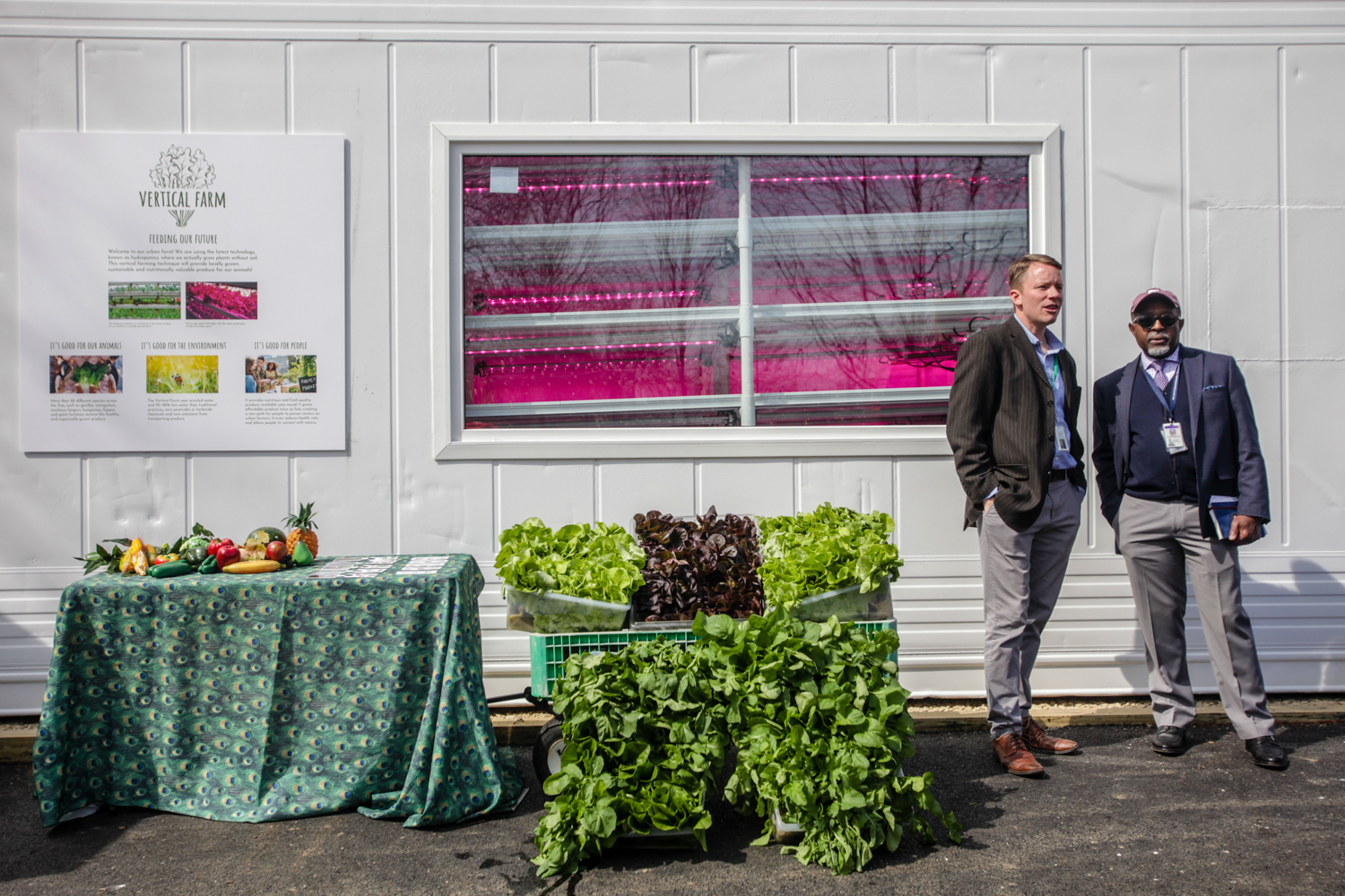 Philadelphia Zoo opens Creatures of Habitat exhibit and Zoo Key ...