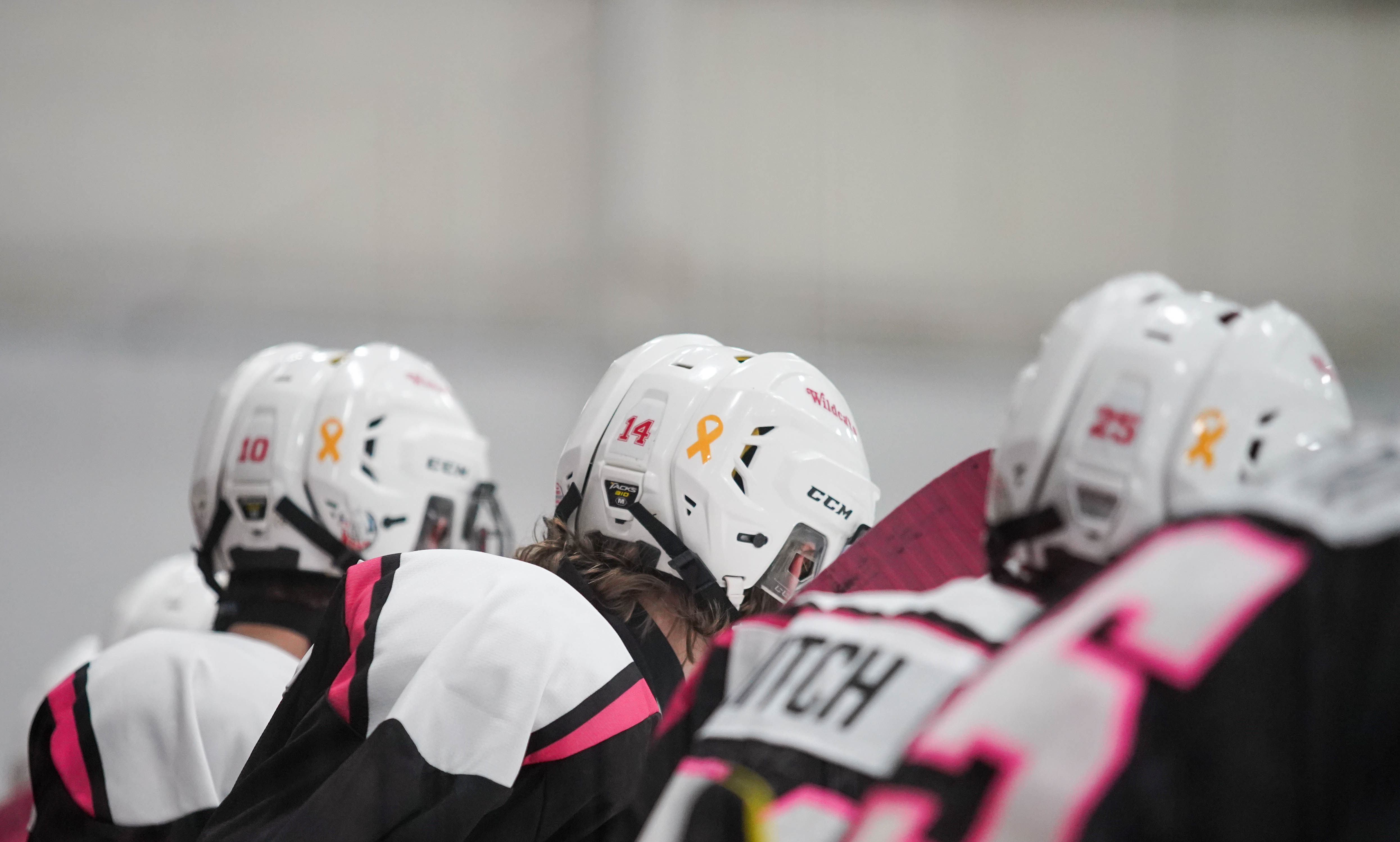 Hockey players honor cancer victims with special pink jerseys - mlive.com