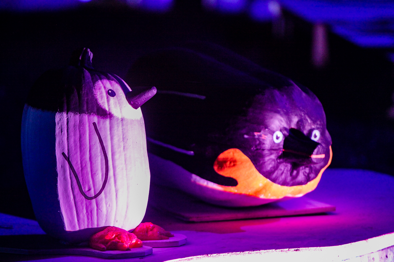 Jack's Pumpkin Glow in Philadelphia - pennlive.com