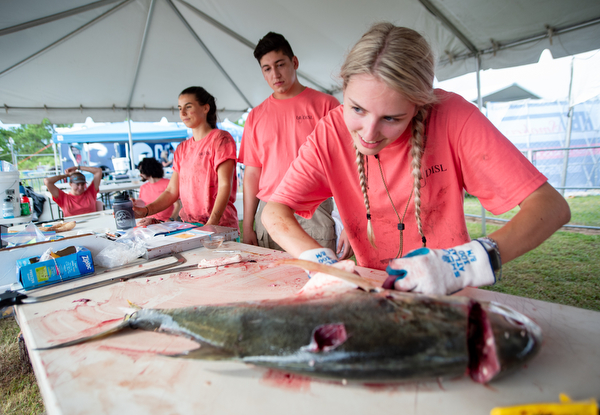 2019 Alabama Deep Sea Fishing Rodeo - al.com