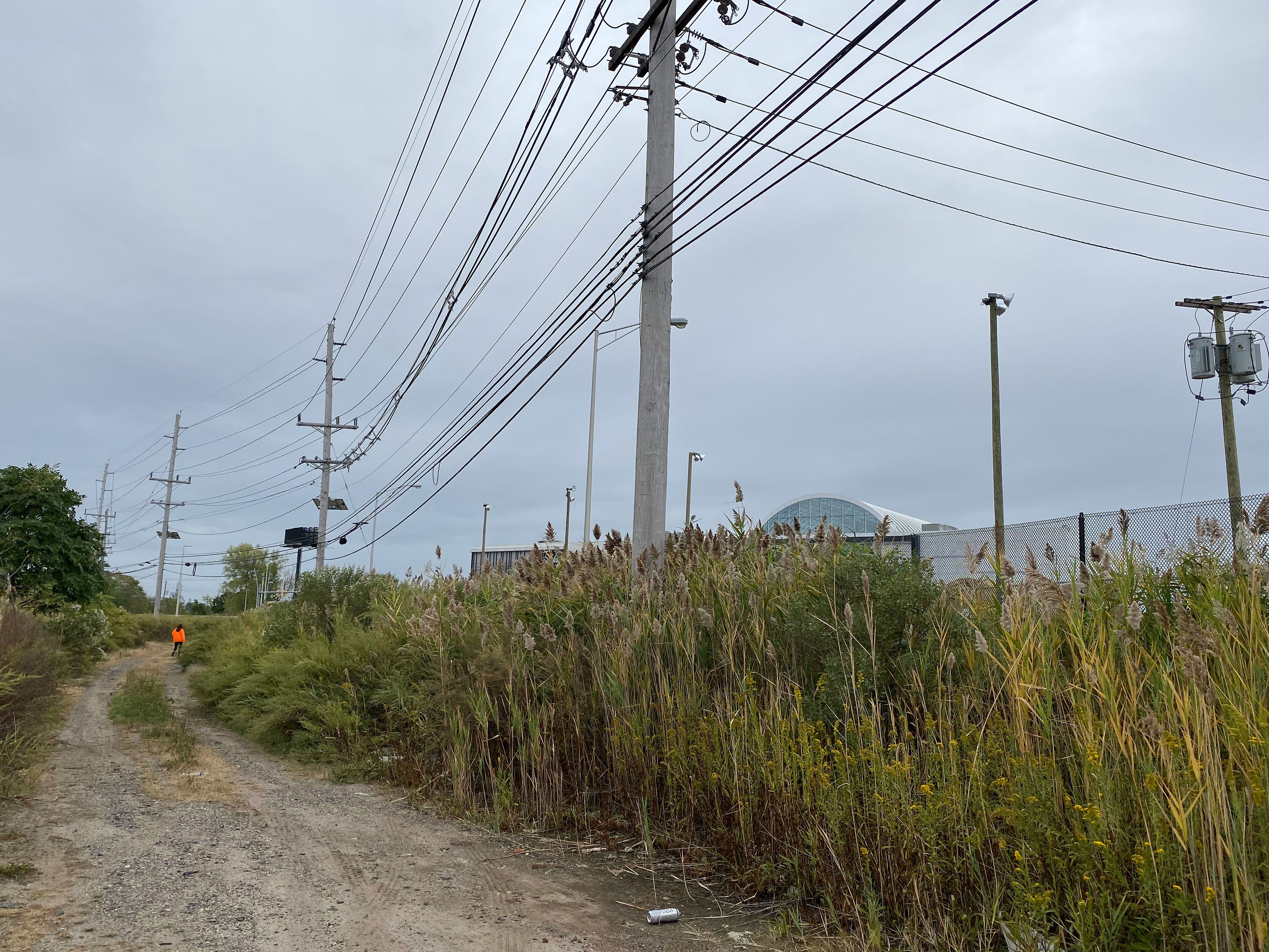 SMUSH Gallery and The Meadowlands Party's counter-space to American ...