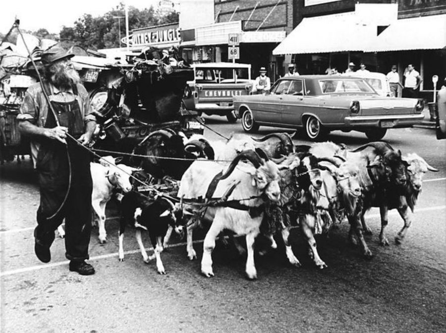 The Goat Man - al.com