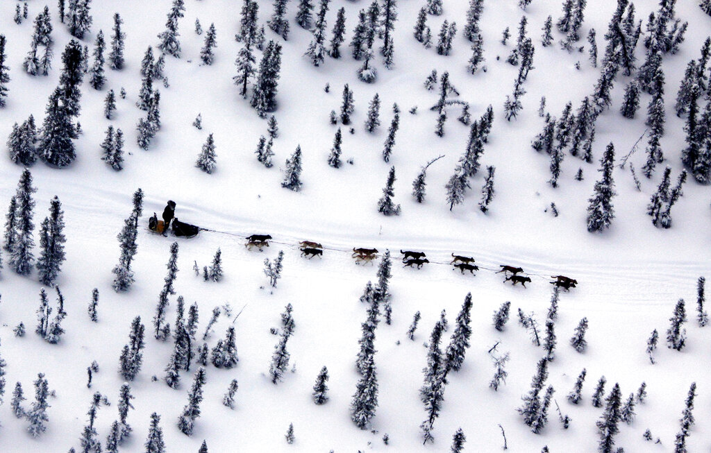 High-tech help connects fans to Iditarod - oregonlive.com