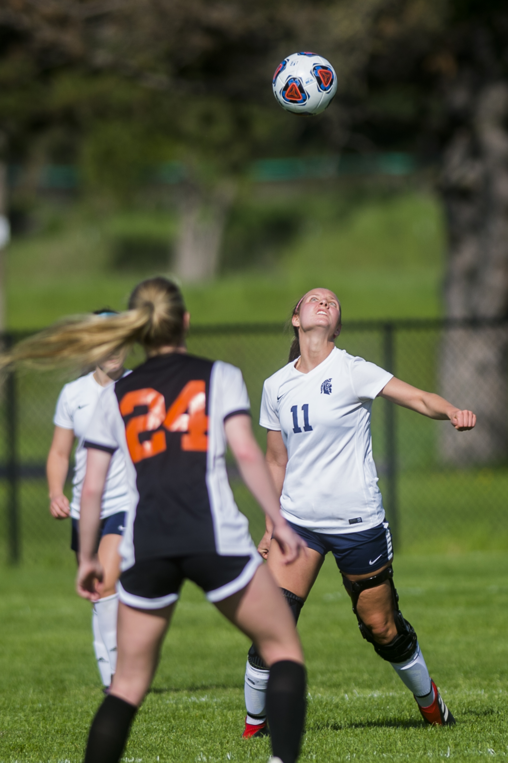 Fenton girls soccer defeats Goodrich 1-0 in Division 2 District opener ...