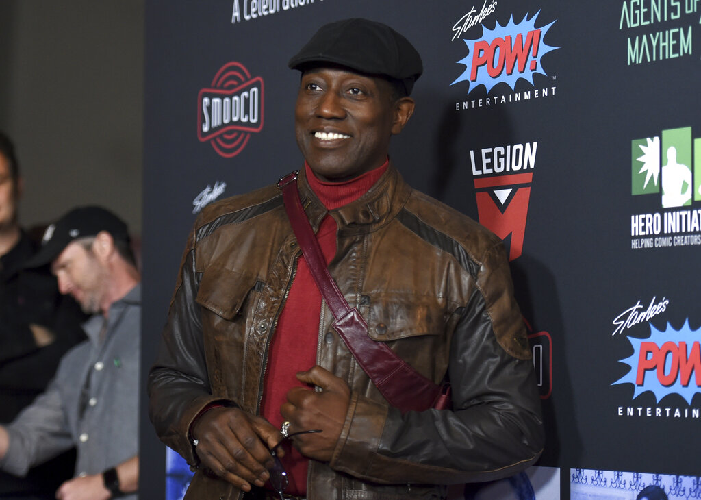 Stan Lee memorial celebration - cleveland.com