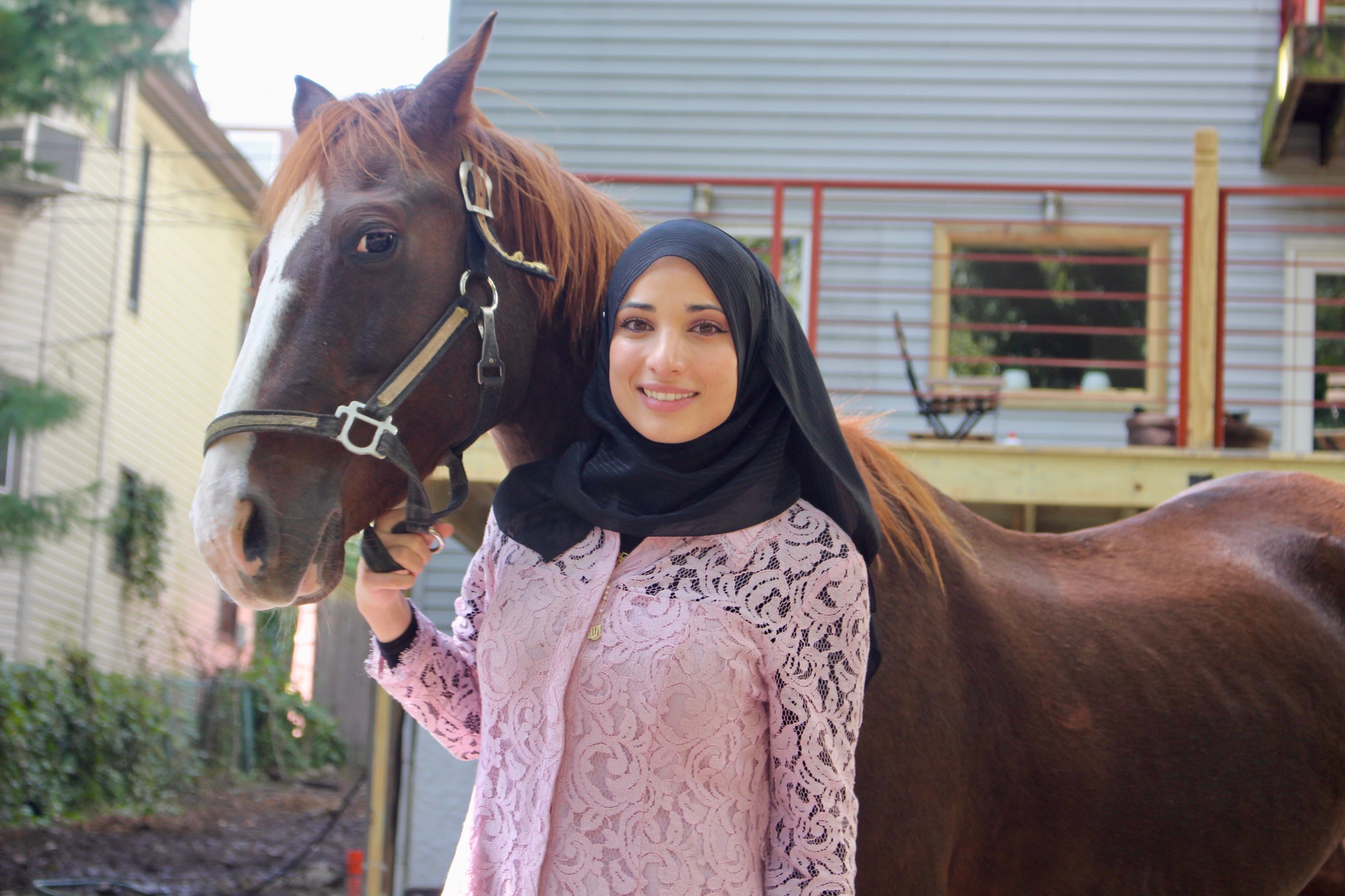 12-year-old chestnut mare living in Stapleton - silive.com
