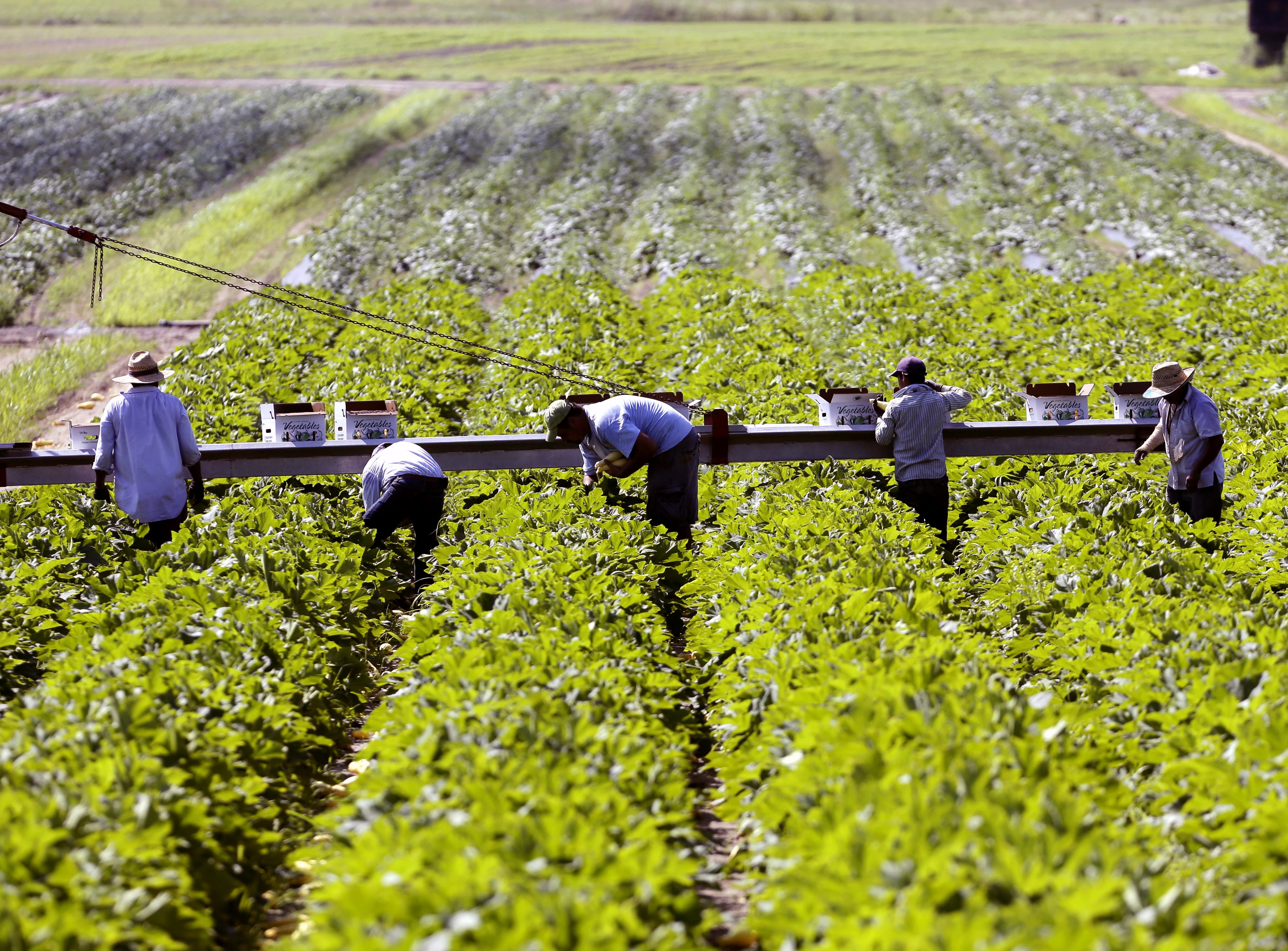Agrarian Economy