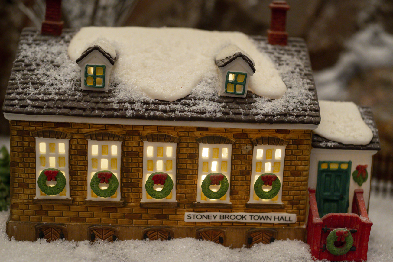 Plymouth woman builds enormous Dickensian model village display over ...
